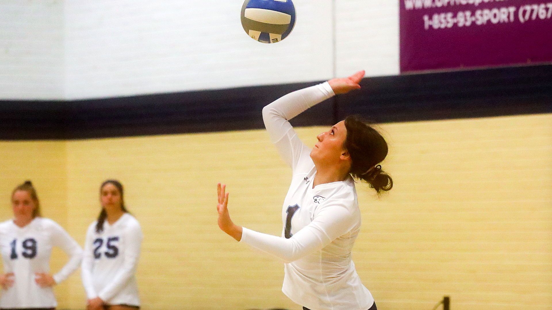 Sarah Orr - Women's Volleyball - Thiel College Athletics