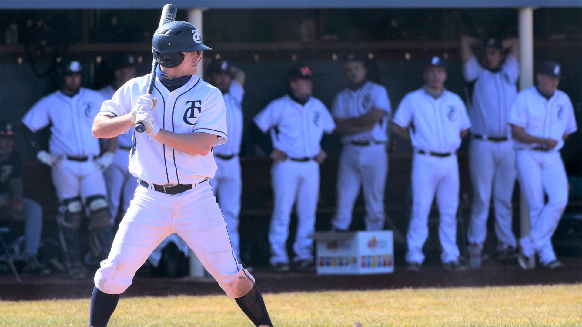 Nash Matson - Baseball - Thiel College Athletics