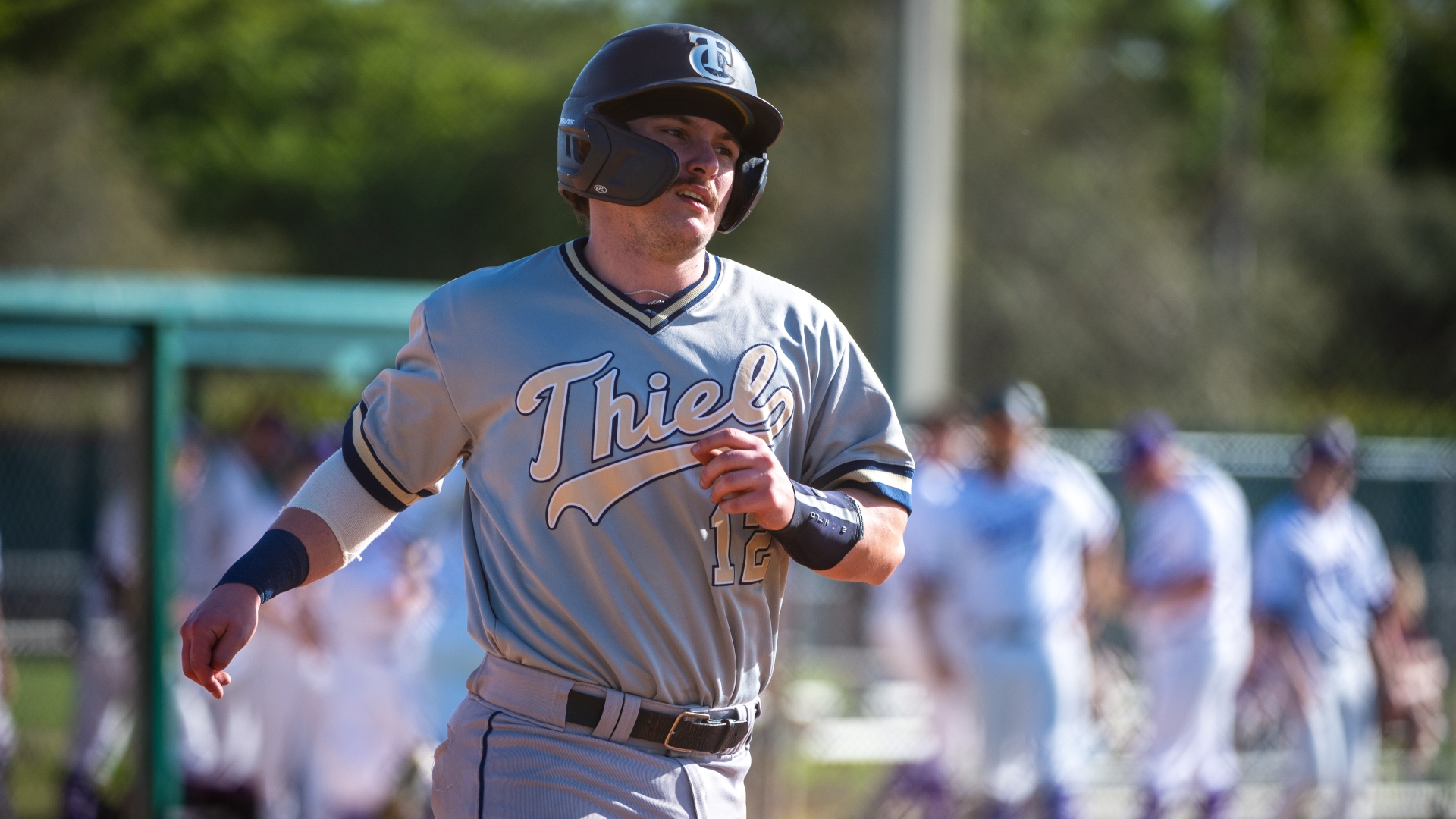 Nick Guarnieri - Baseball - Thiel College Athletics