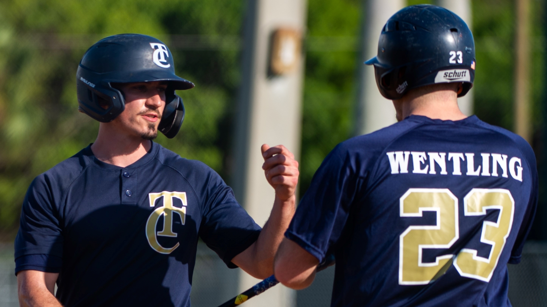 Tomcats take two in doubleheader against Titans - Thiel College Athletics