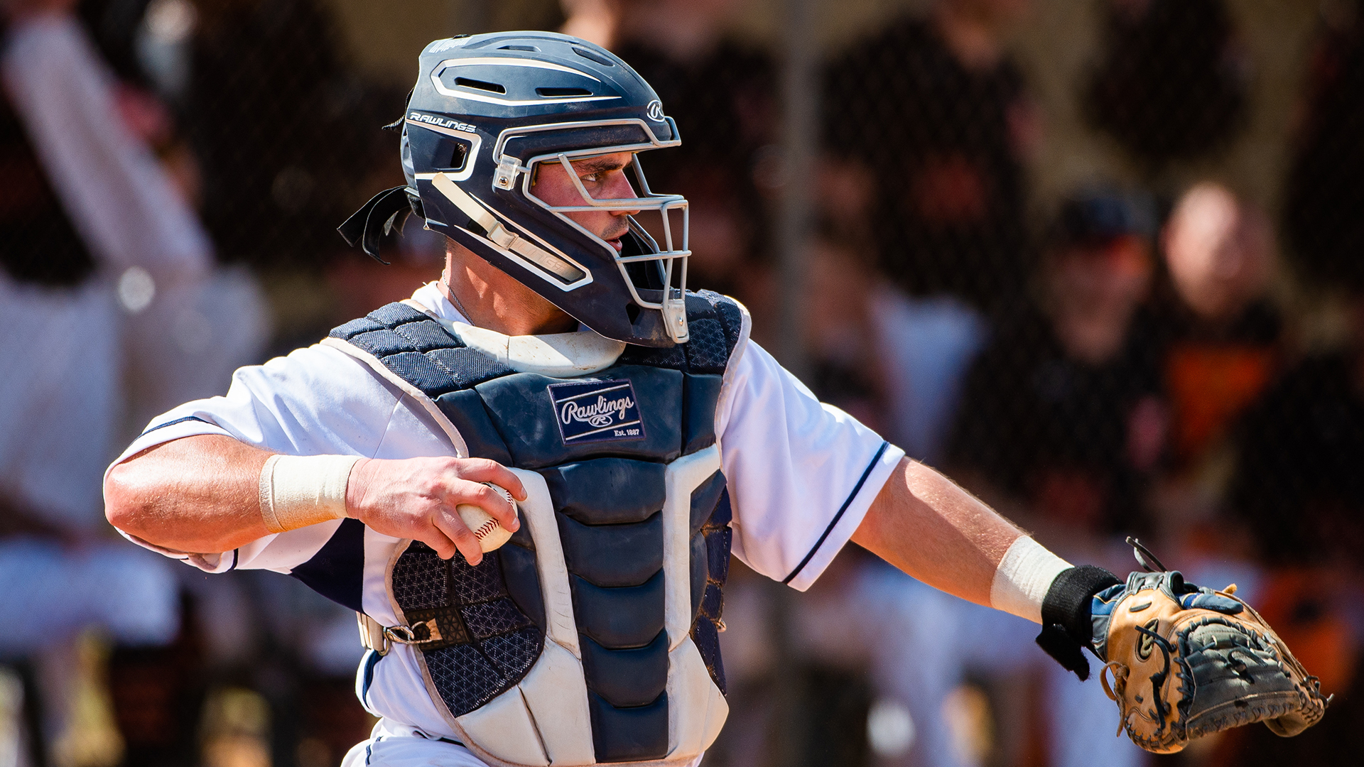 Seth Johnson - Baseball - Thiel College Athletics