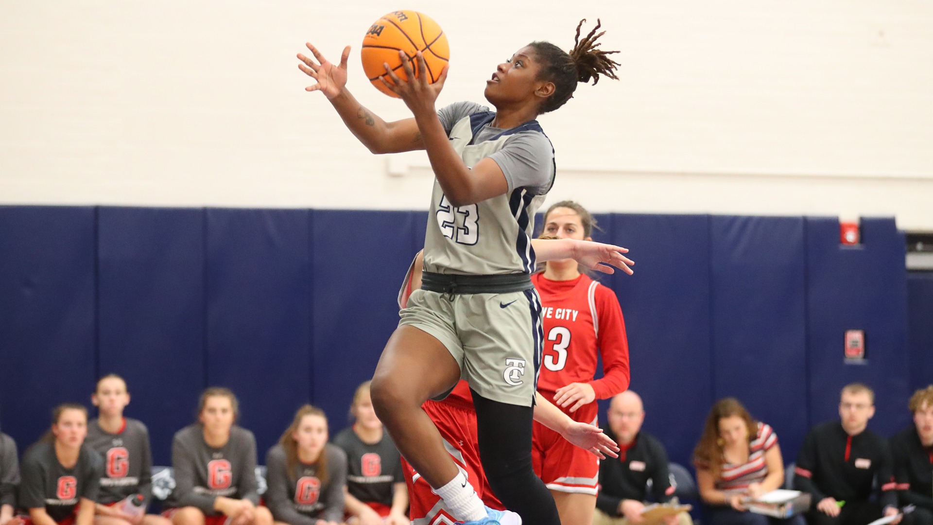 Destiny Johnson - Women's Basketball - Thiel College Athletics