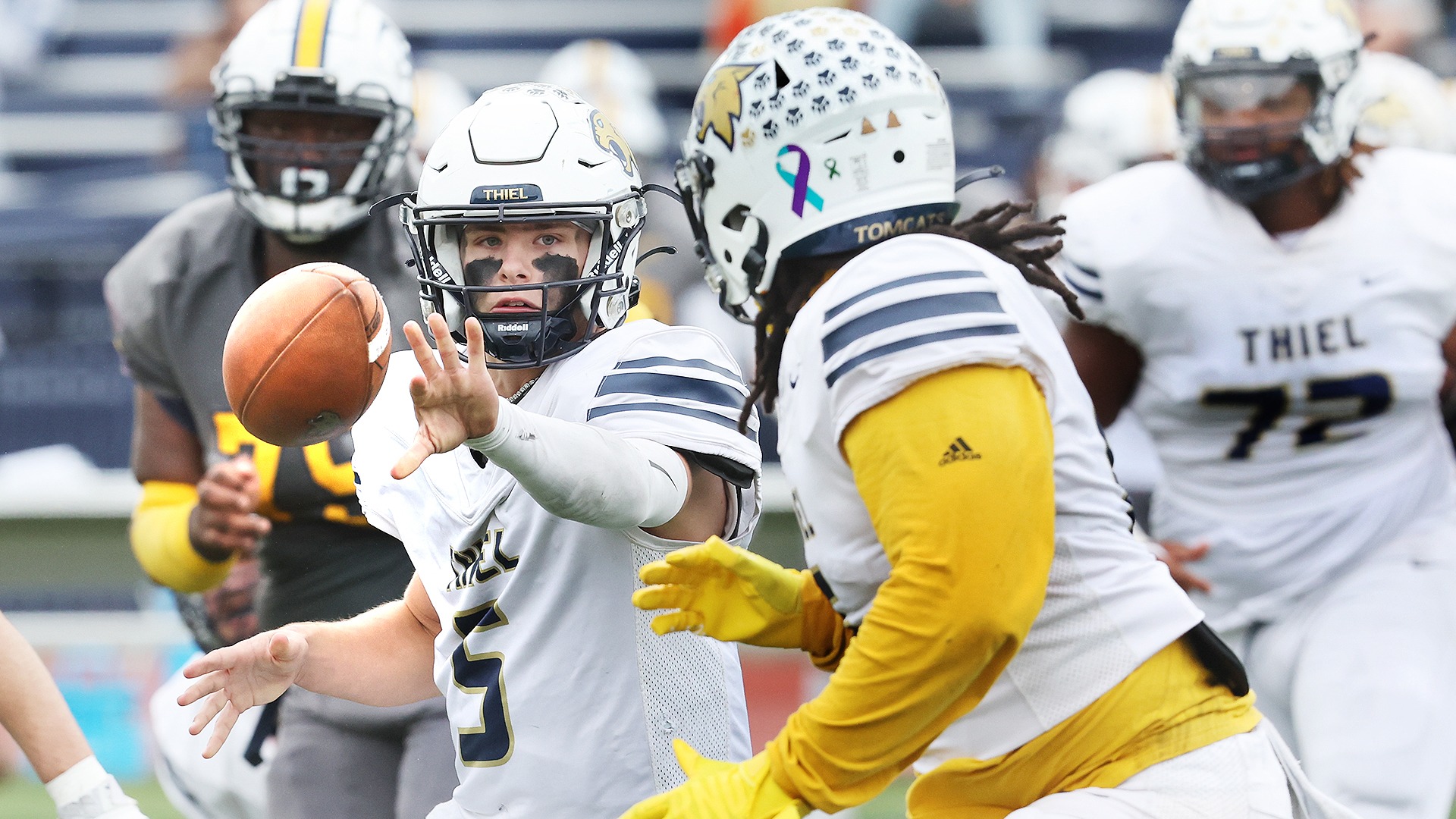 Gators beat Tomcats - Thiel College Athletics