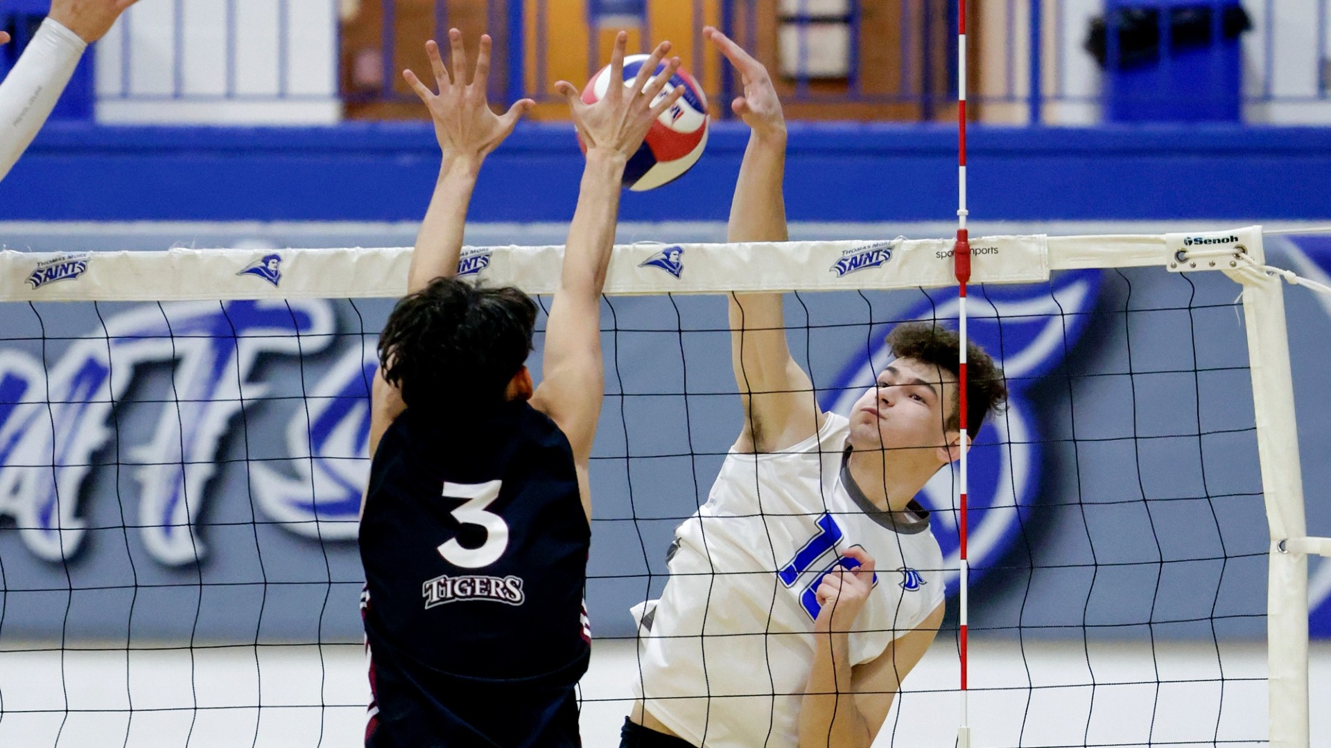 Dominic Rossi - 2025 - Men's Volleyball - Thomas More University
