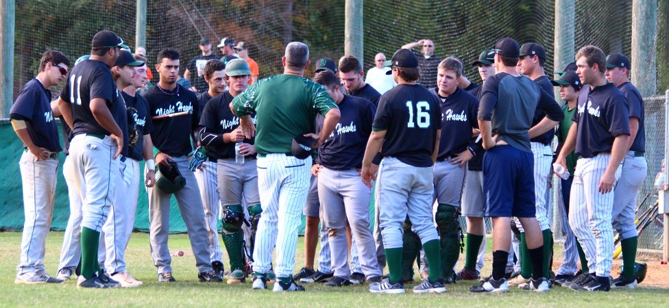 David Wood - 2017 - Baseball - Thomas University Athletics