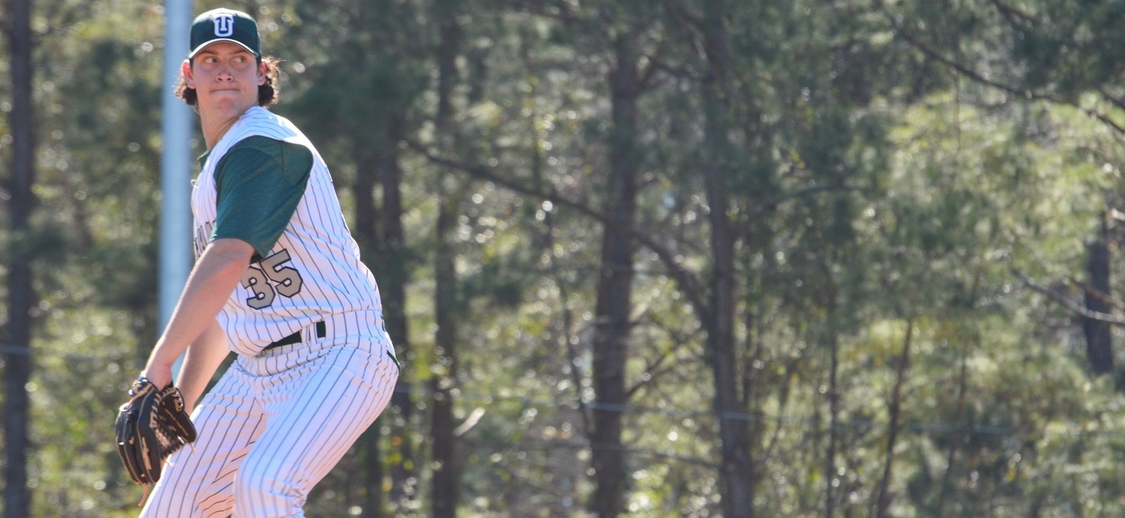 Jordan Martin - 2017 - Baseball - Thomas University Athletics