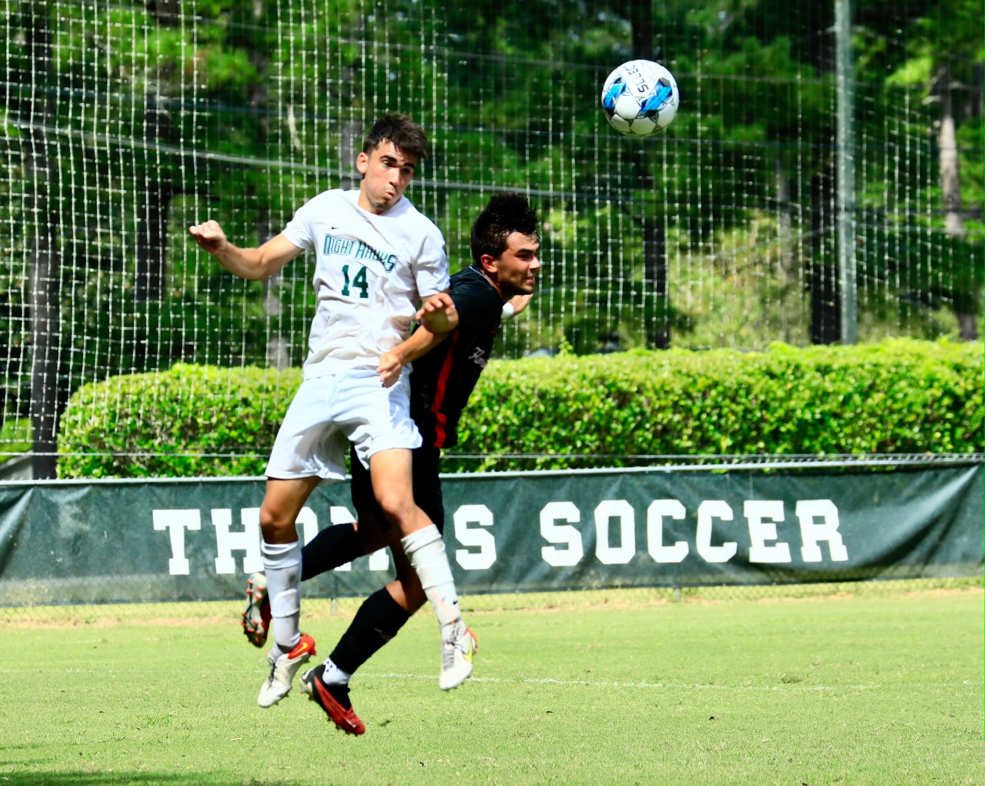 Night Hawks Start a Winning Streak - Thomas University Athletics