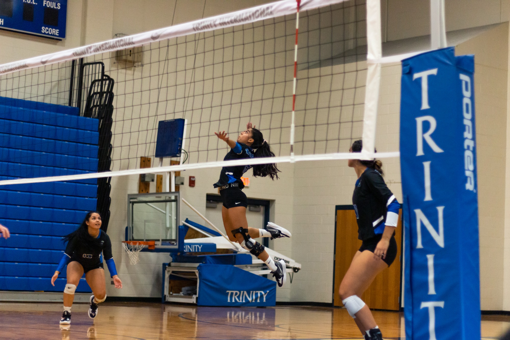 Emma Gallegos - Women's Volleyball - Trinity International University ...