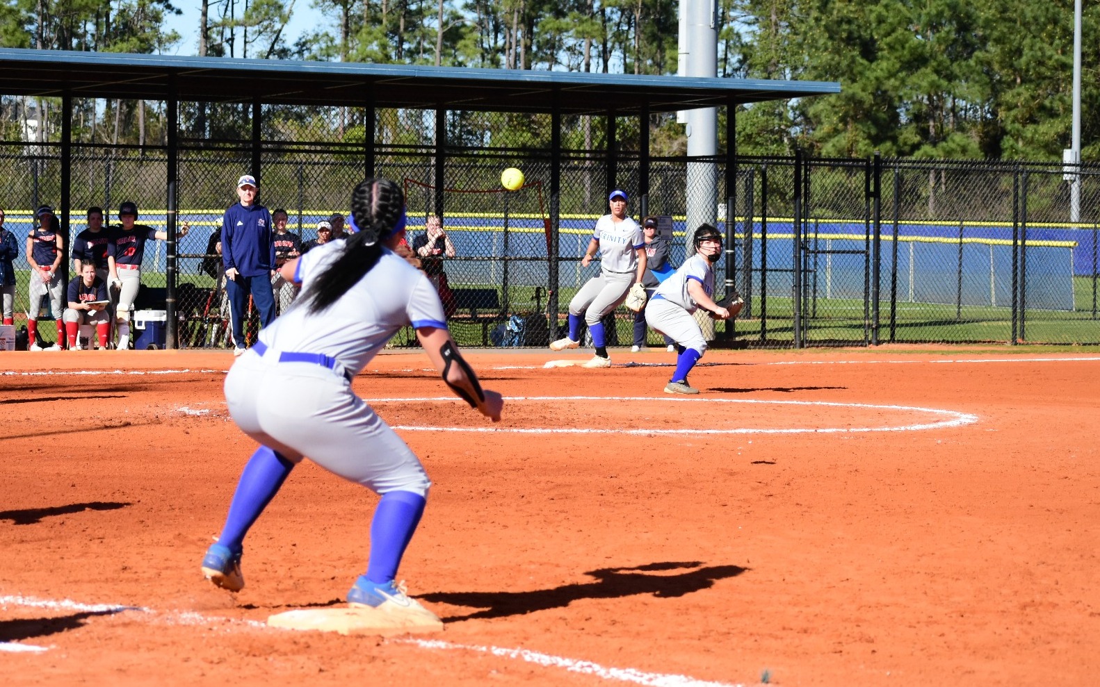 Ashley Griffith - Softball - Trinity International University Athletics