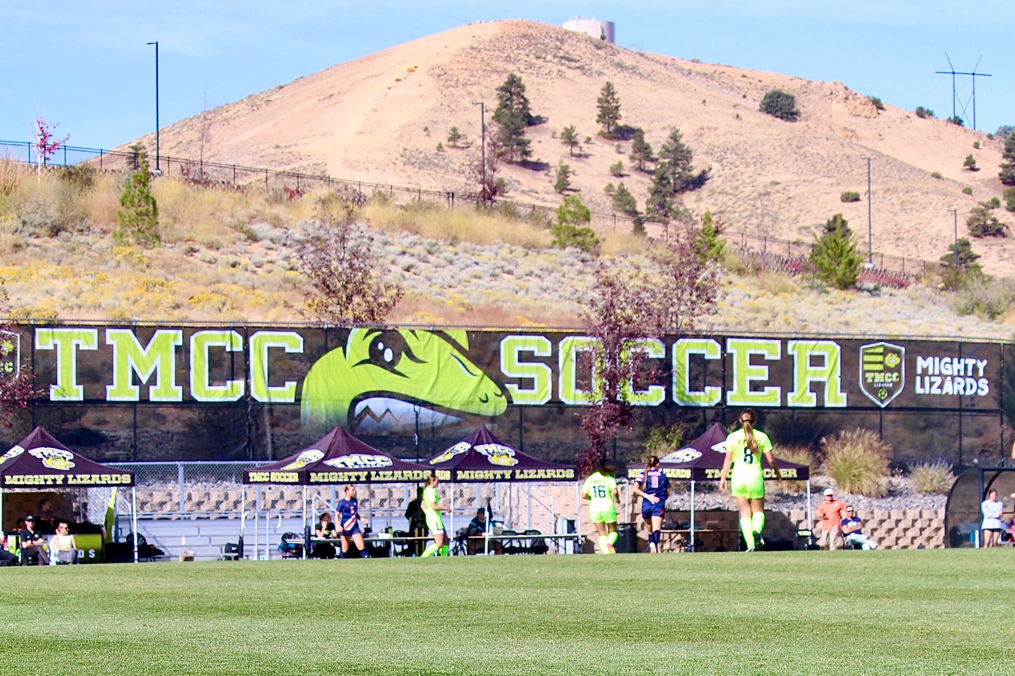 12 Mighty Lizards Pick Up All-Region XVIII Awards - Truckee Meadows ...