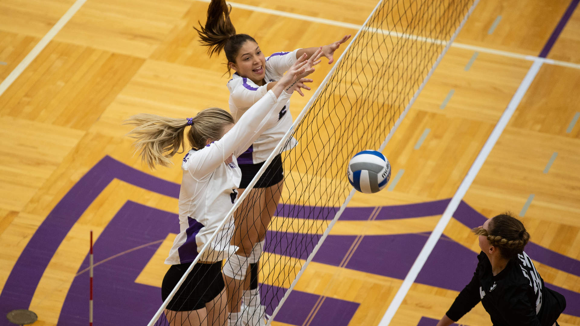 Busy Volleyball spring season opens March 31 at home - The University ...