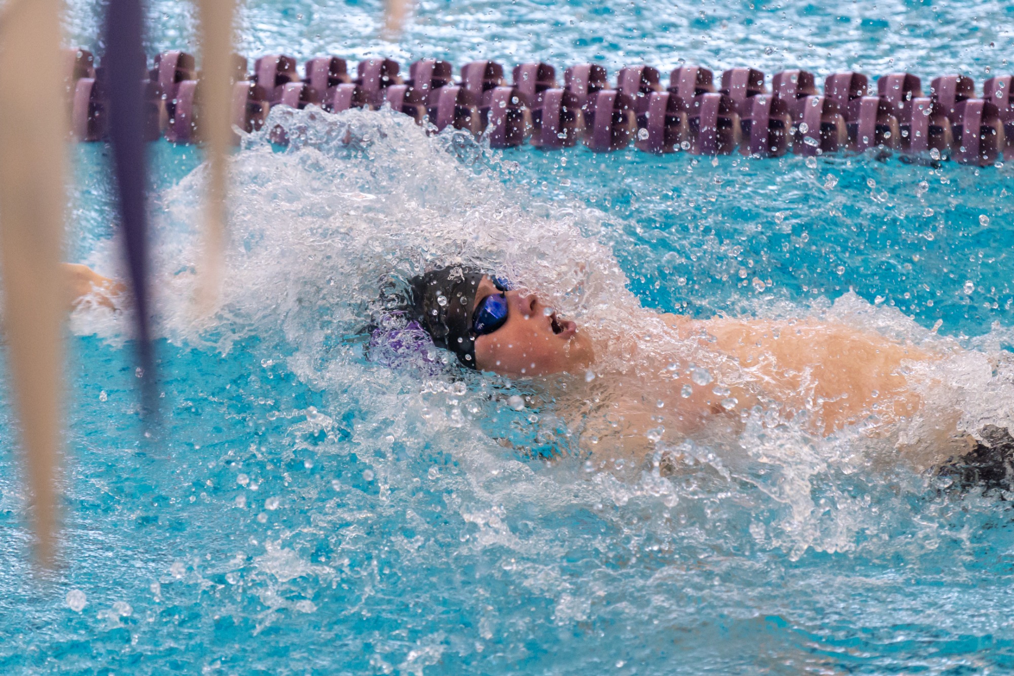 Swim & Dive sees five Top 10 program marks set at Minnesota Triangular ...