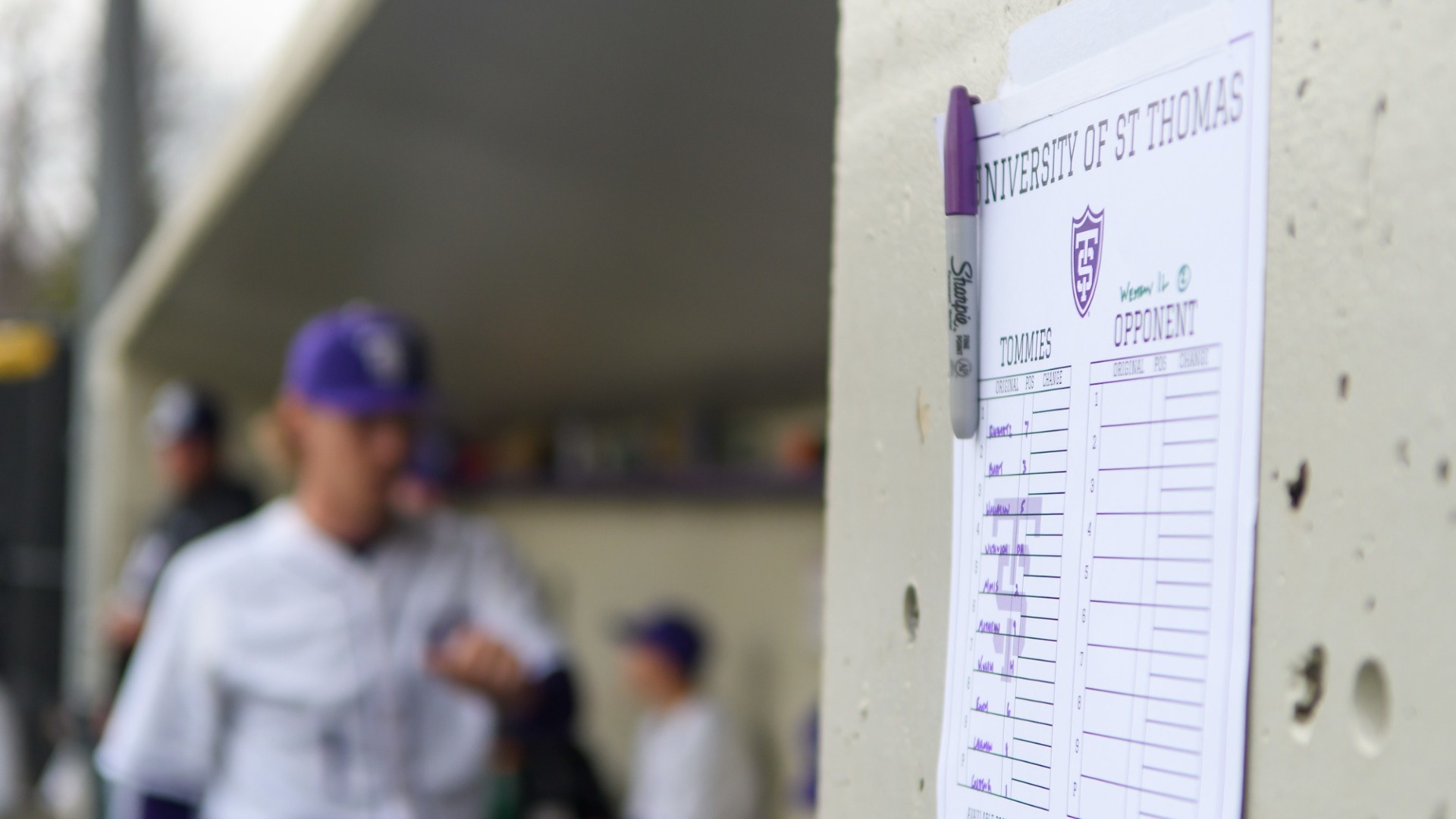 Baseball series opener at Sacramento State rained out - The University ...