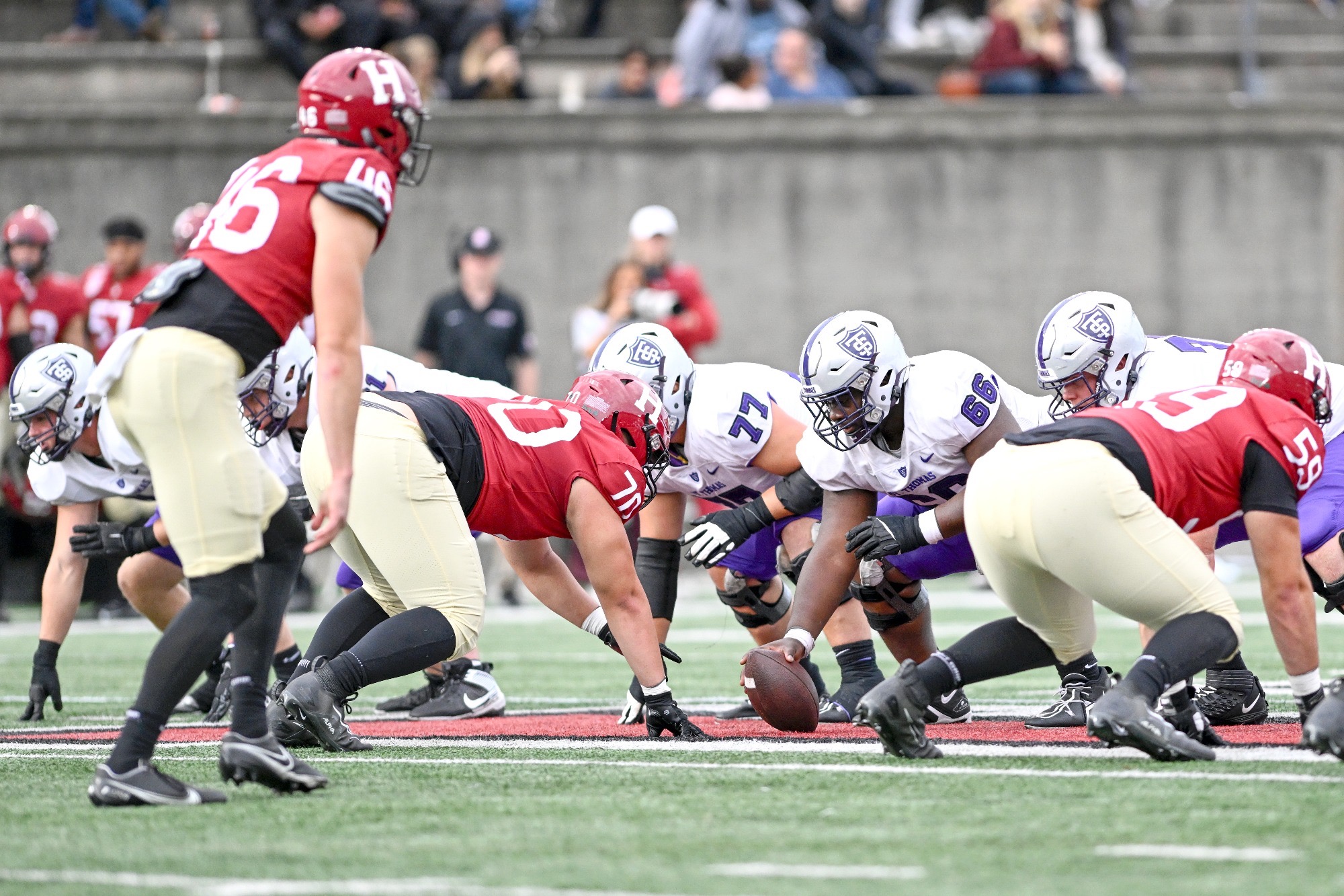 Shea Albrecht - 2024 - Football - The University of St. Thomas