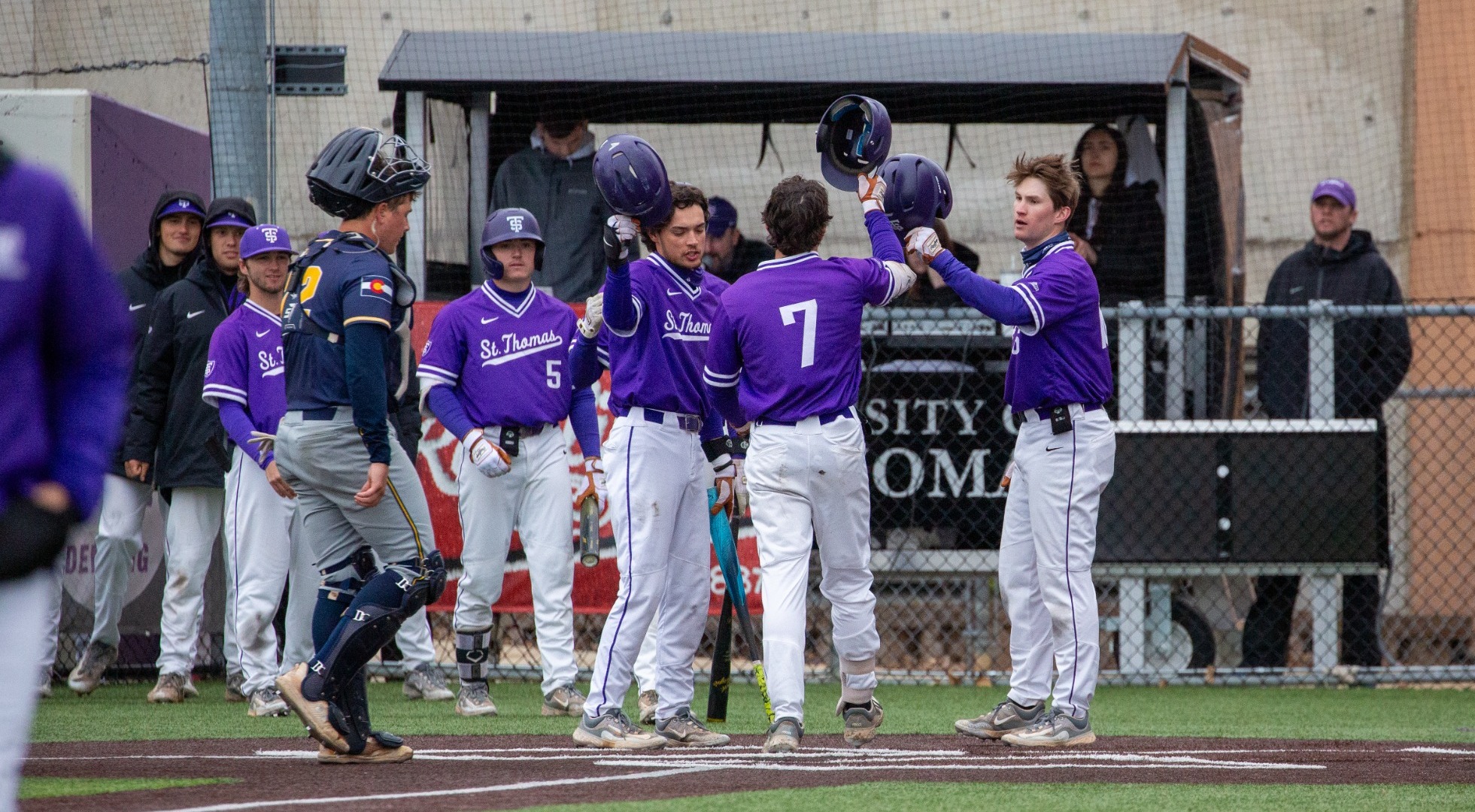 Matthew Maulik - 2024 - Baseball - The University of St. Thomas