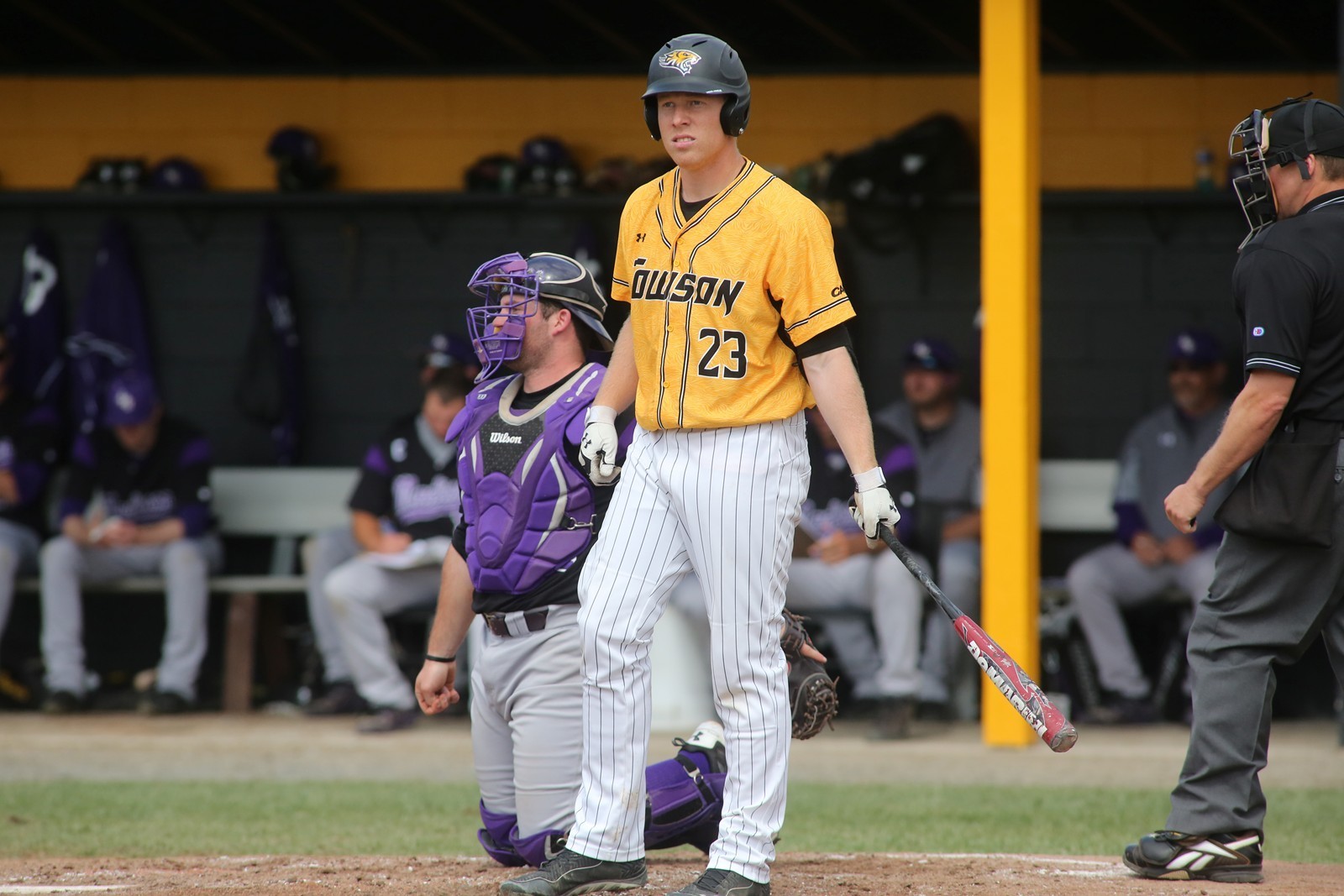 Brendan Butler - Baseball - Towson University Athletics