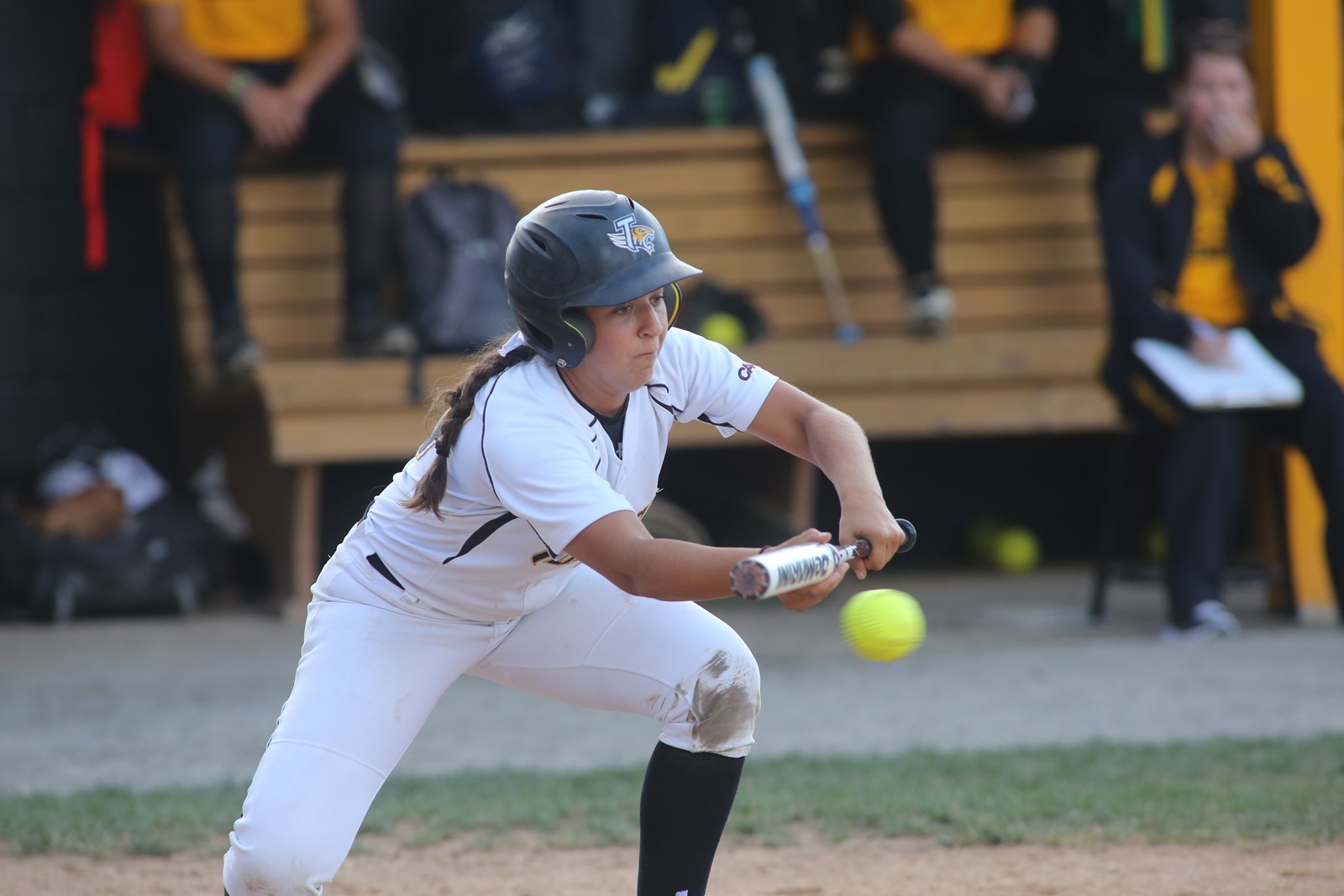 Victoria Sindone - Softball - Towson University Athletics