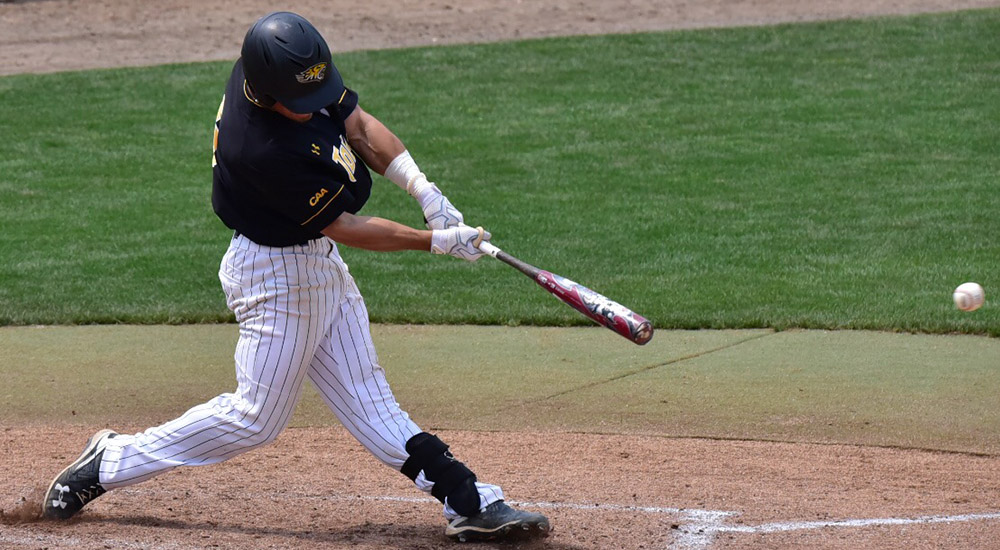 Brady Policelli - Baseball - Towson University Athletics