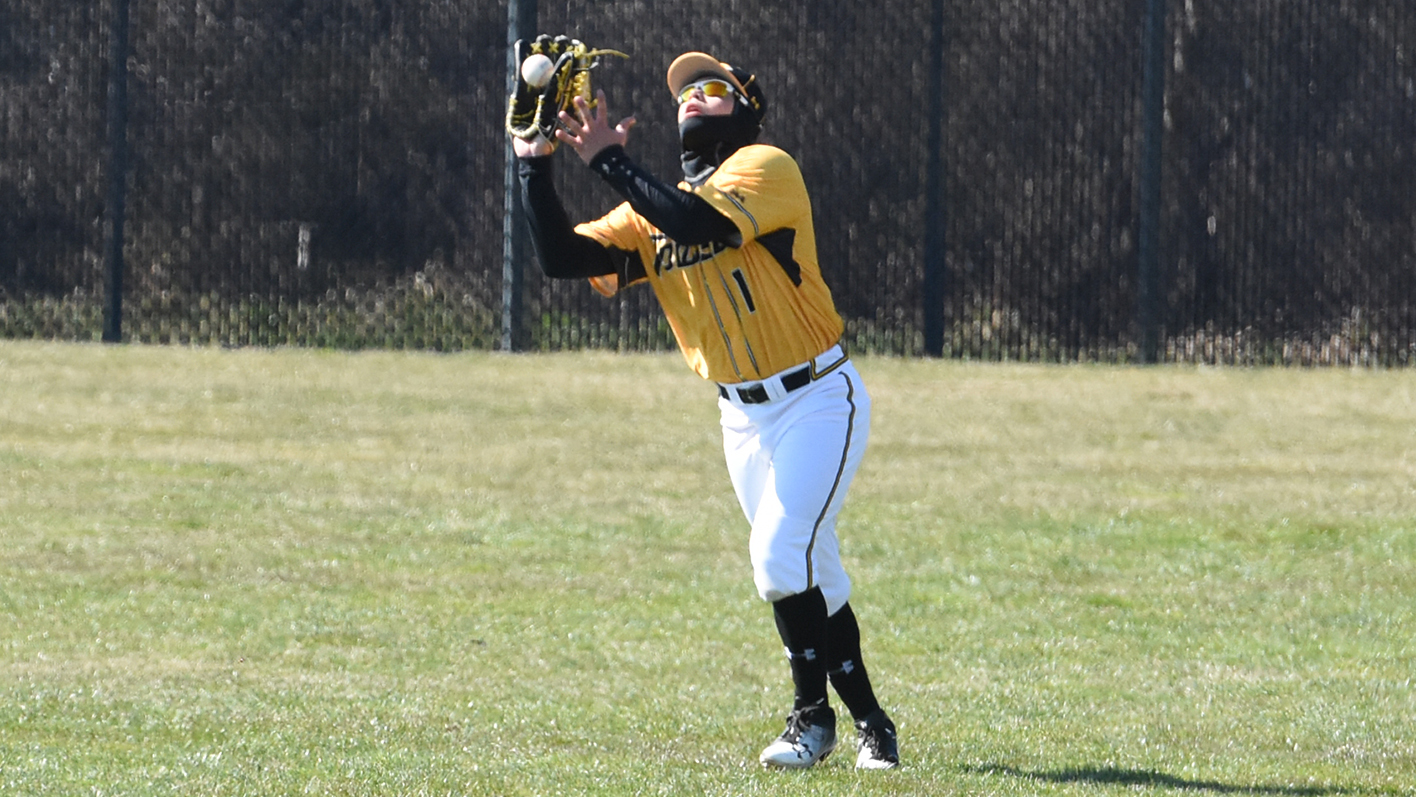 Mark Grunberg - Baseball - Towson University Athletics