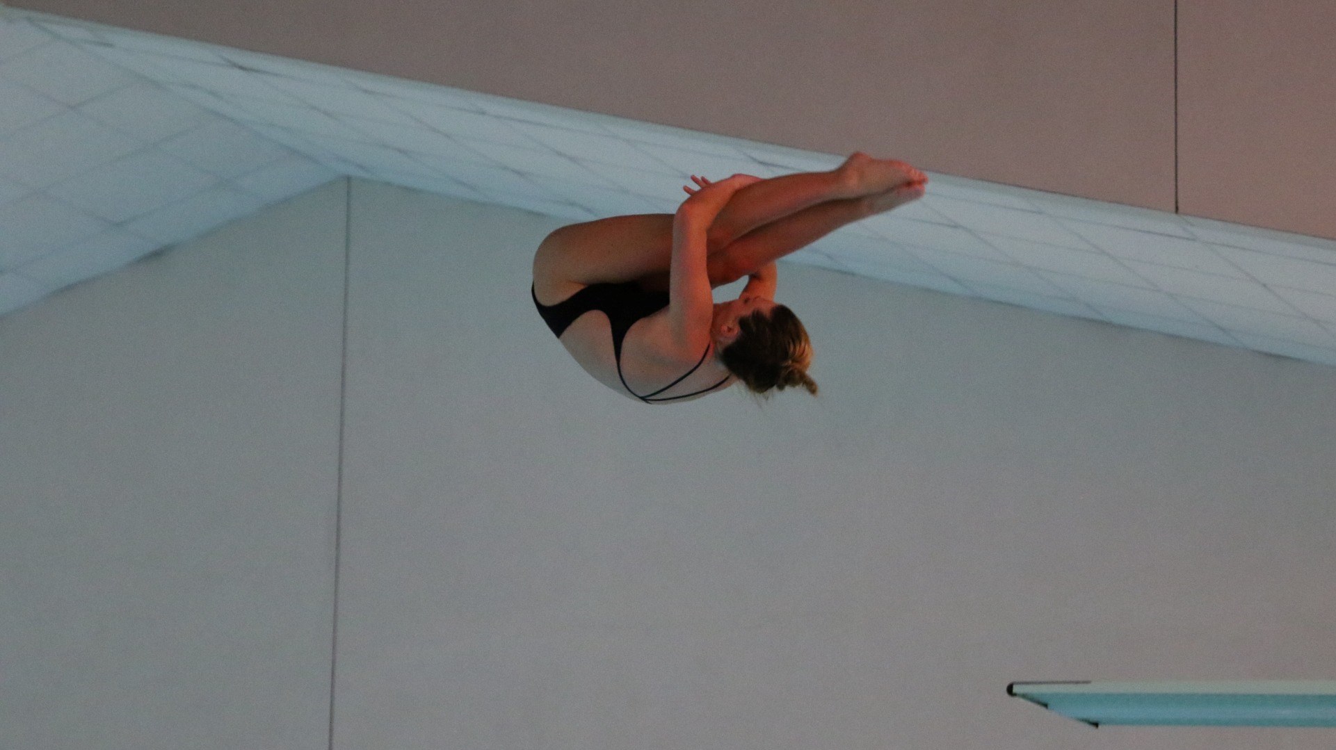 Transy Swim and Dive sweeps Sewanee in first meet of the season ...