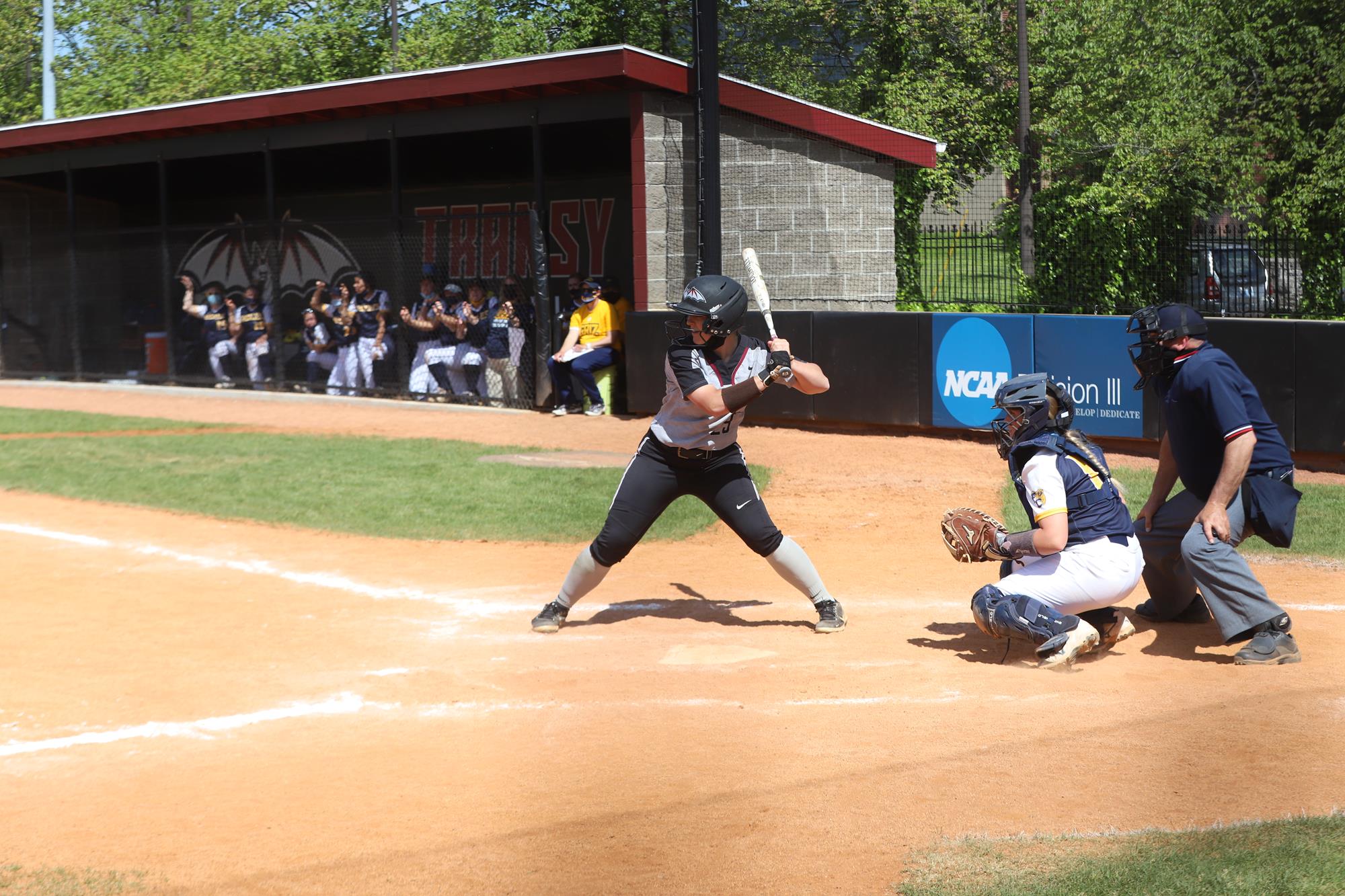 Transylvania Softball uses big 7th to down Centre and move to 4-0 ...
