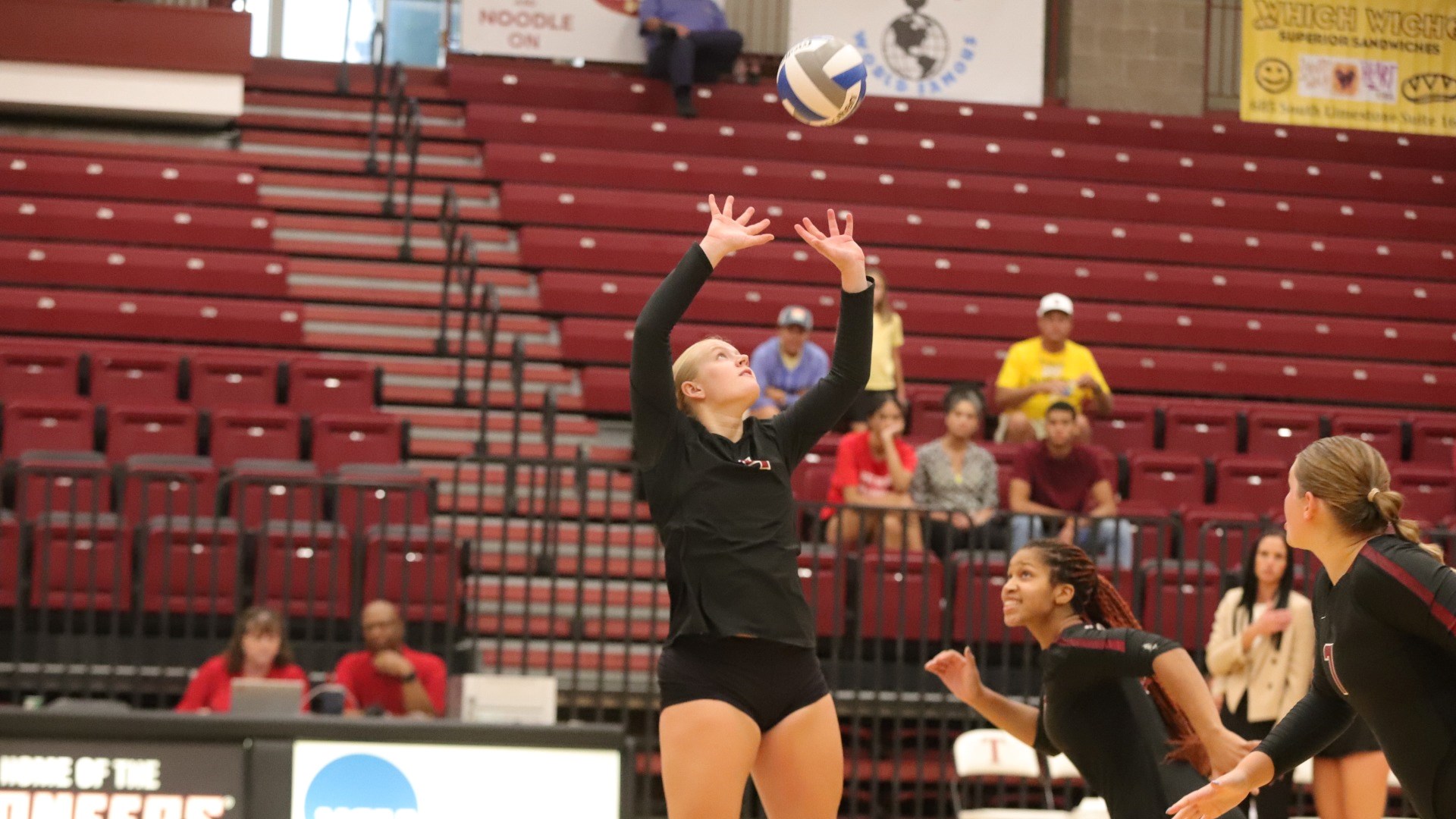 Madison Sweeney - 2022 - Women's Volleyball - Transylvania University