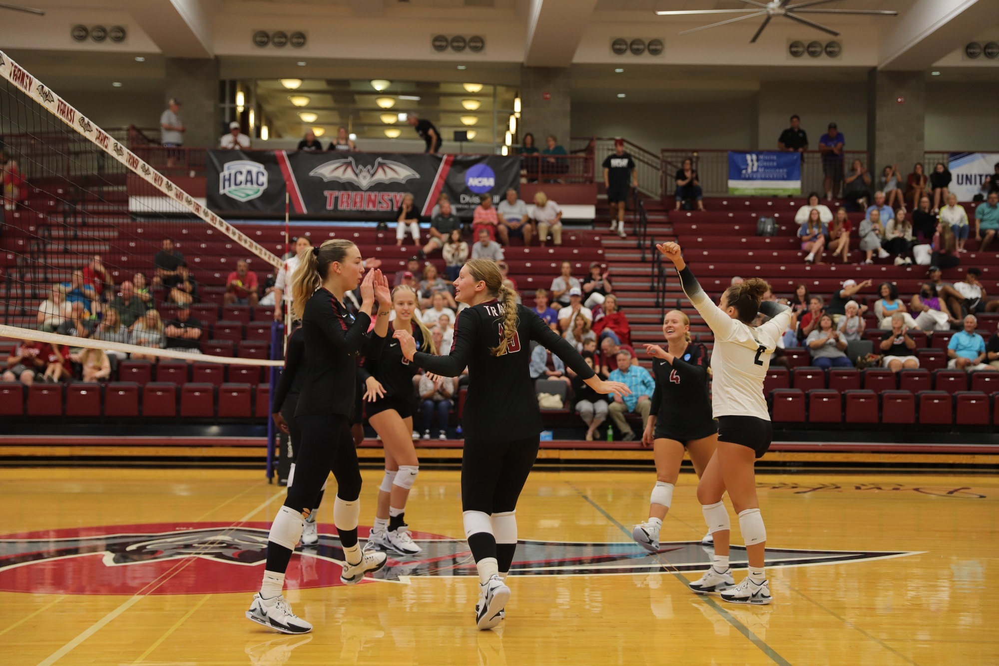 Ward, Scheper Reach Career Milestones. Transy Volleyball Splits On ...