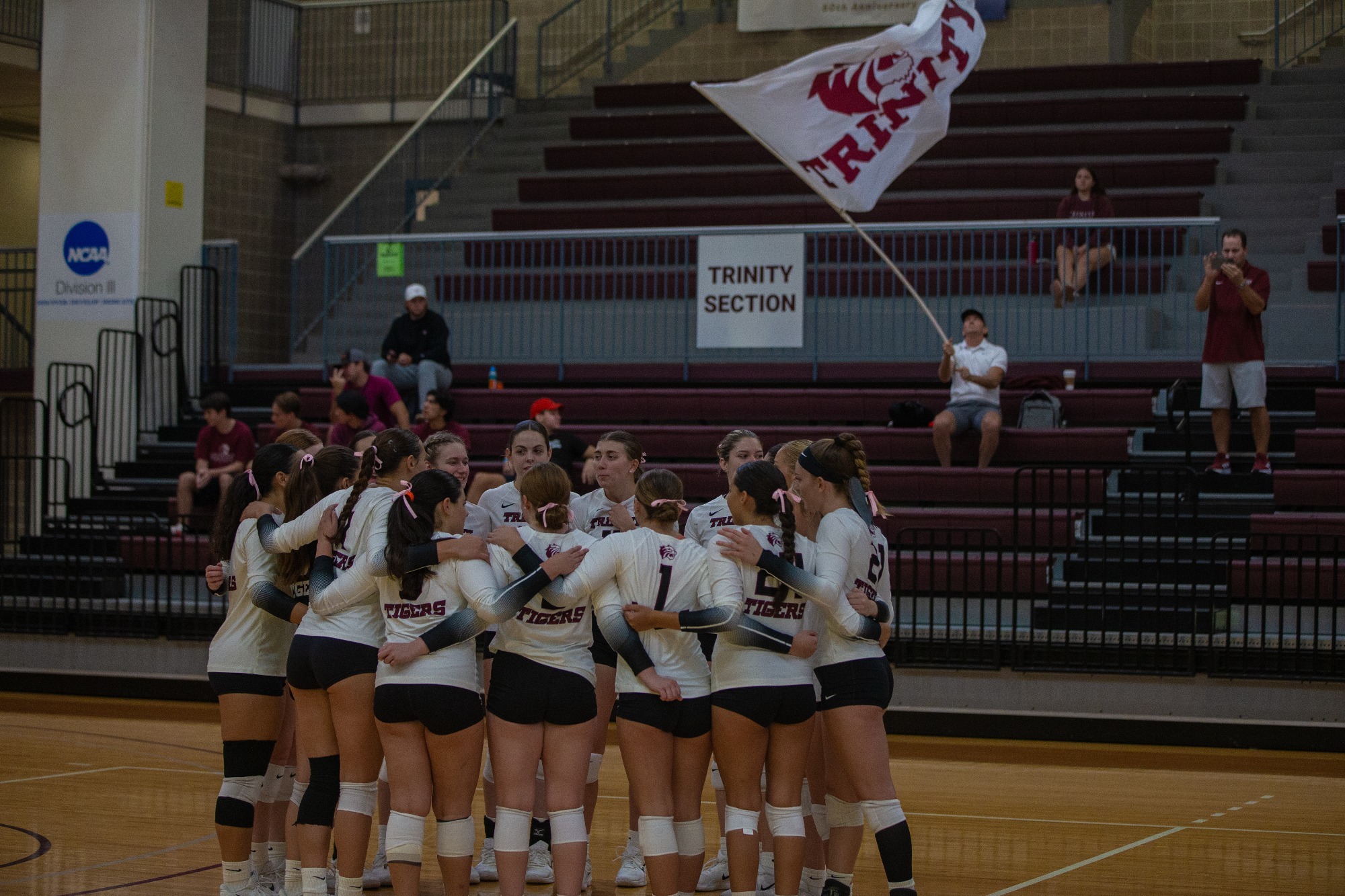 No. 11 Tiger Volleyball Sweeps TLU In Final Home Game - Trinity University