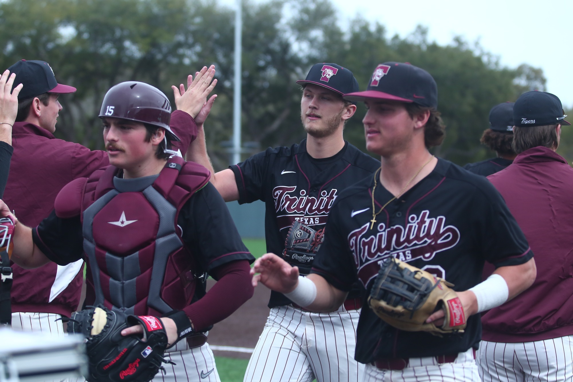 No. 3/5 Tigers Defeat No. 4 Birmingham-Southern in Sunday's Series ...