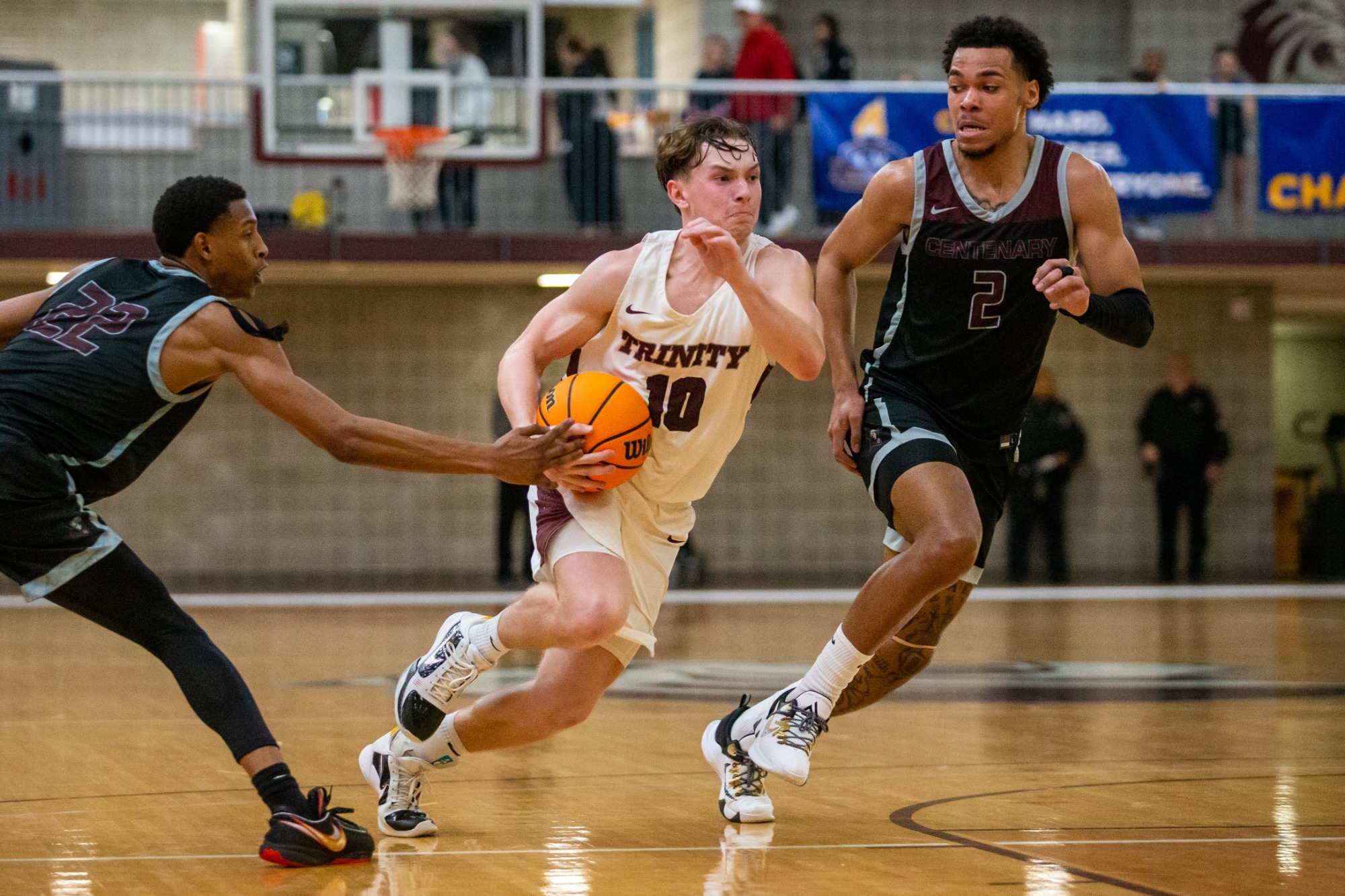 Tiger Men's Basketball Reaches SCAC Final With Win Over Centenary ...