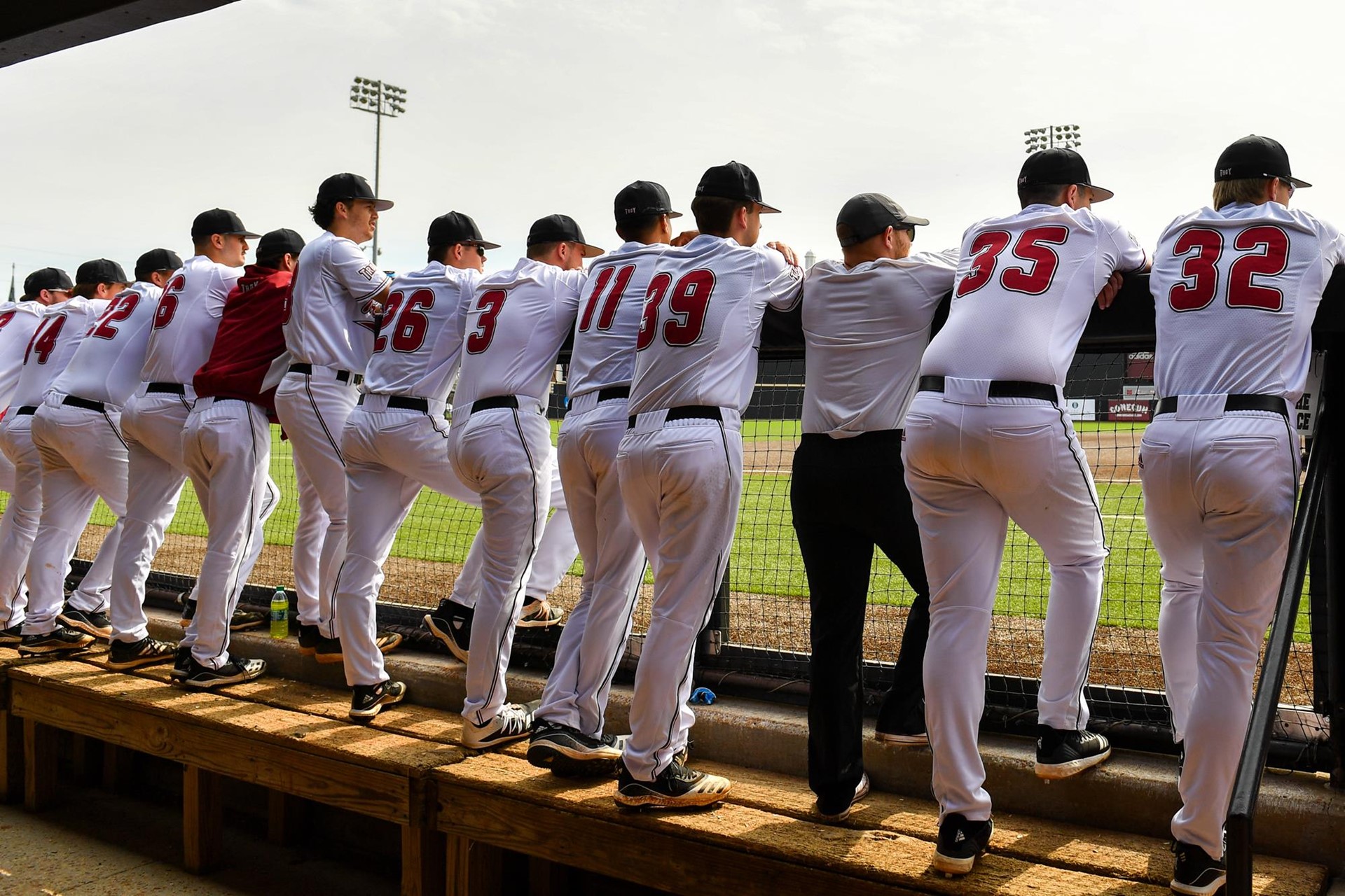 Troy Drops Series Finale to Louisiana Tech - Troy University Athletics