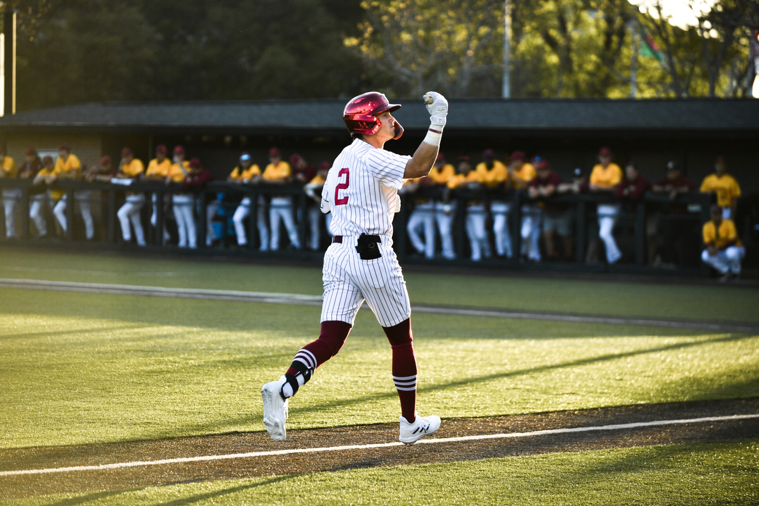 Shane Lewis - Baseball - Troy University Athletics