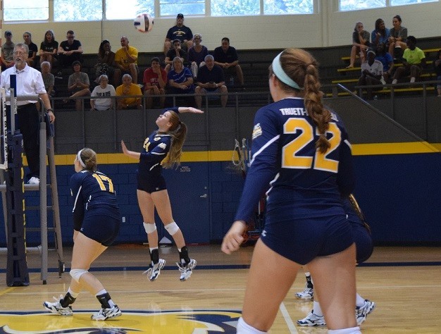 Hayley Haskell - Women's Volleyball - Truett McConnell University Athletics
