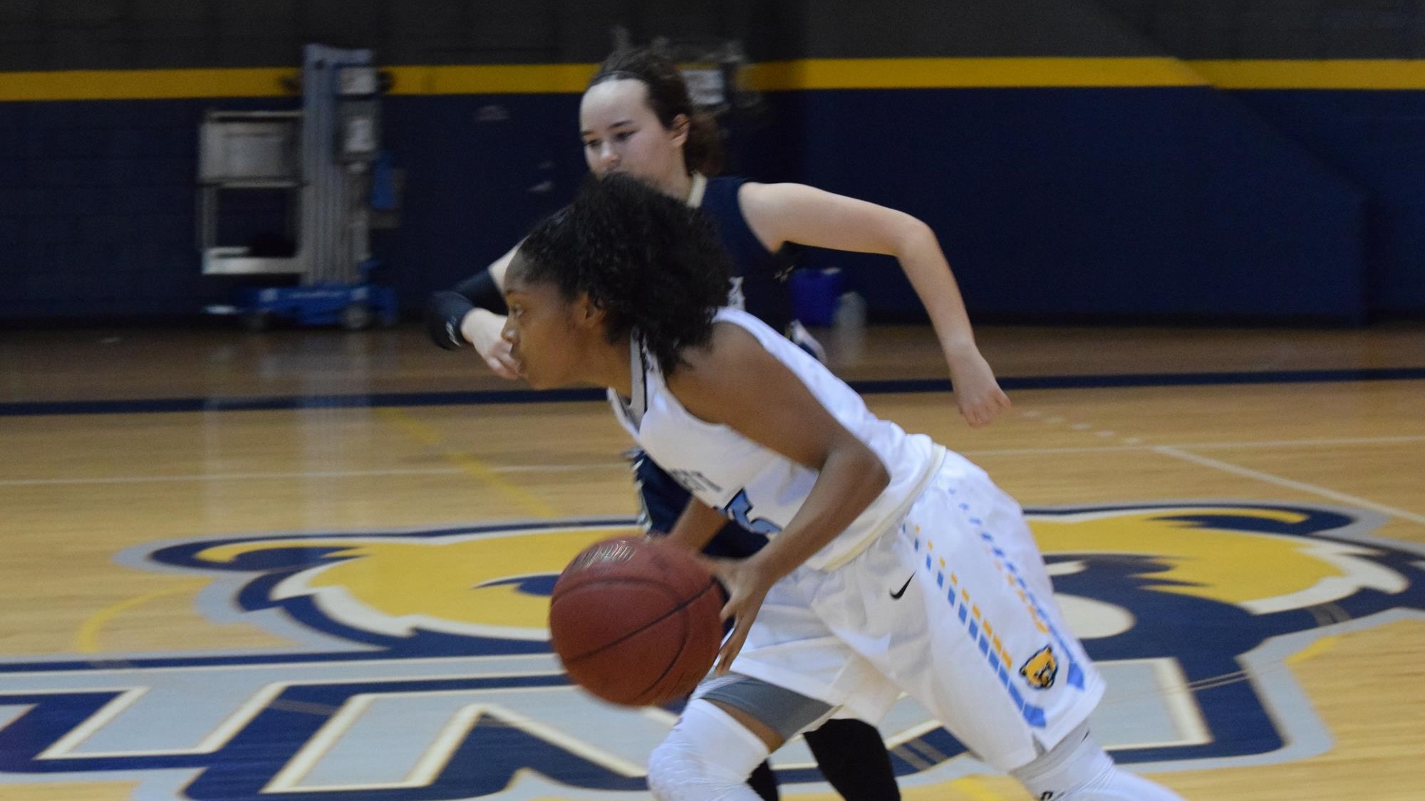 Ariana Sanders - Women's Basketball - Truett McConnell University Athletics