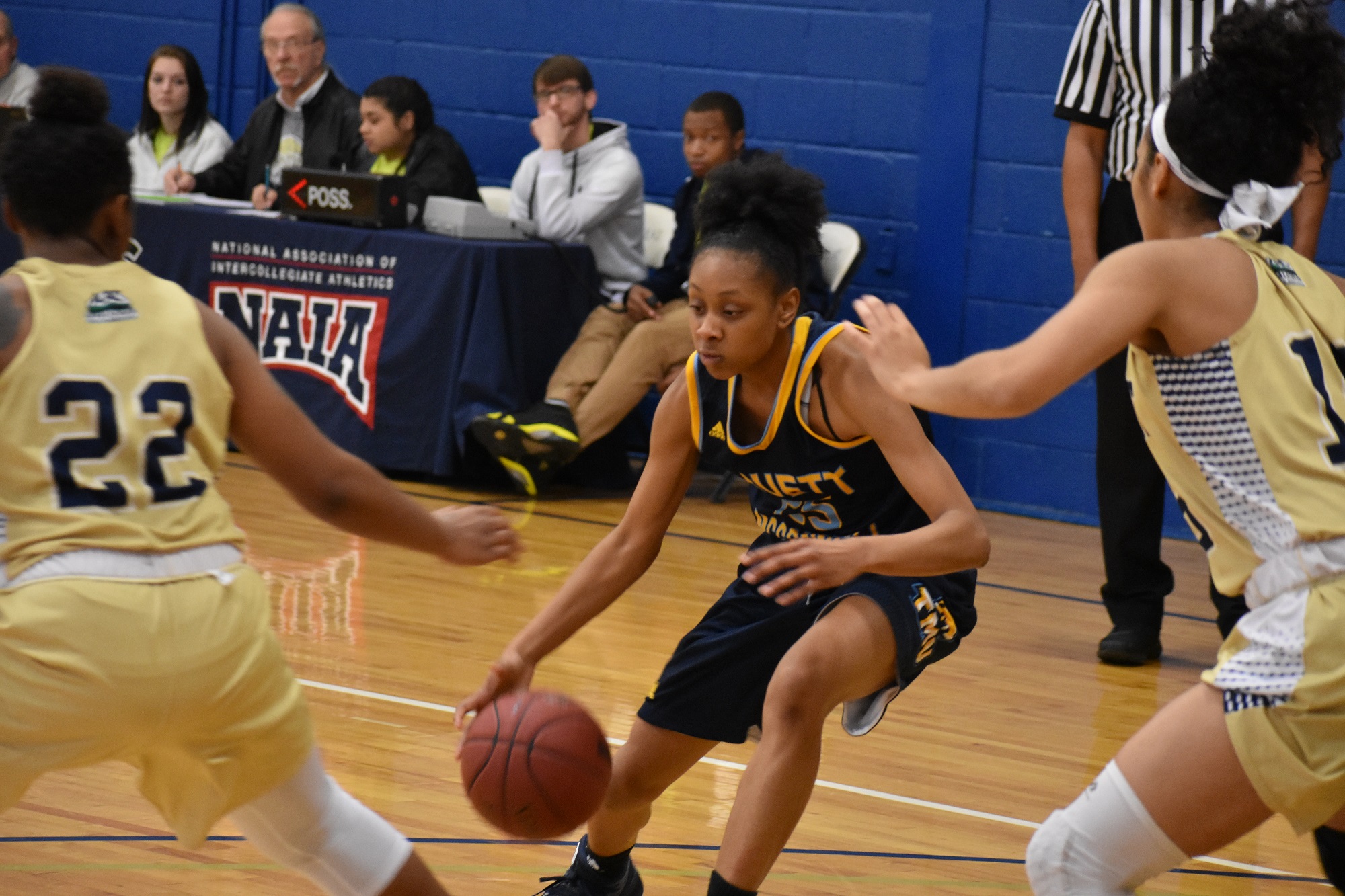 Bralise Reese - Women's Basketball - Truett McConnell University Athletics