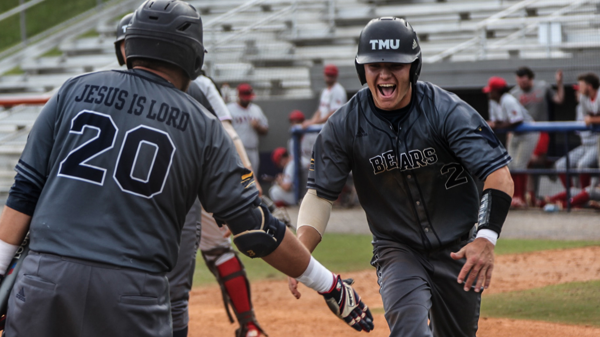 Josh Johnston - Baseball - Truett McConnell University Athletics