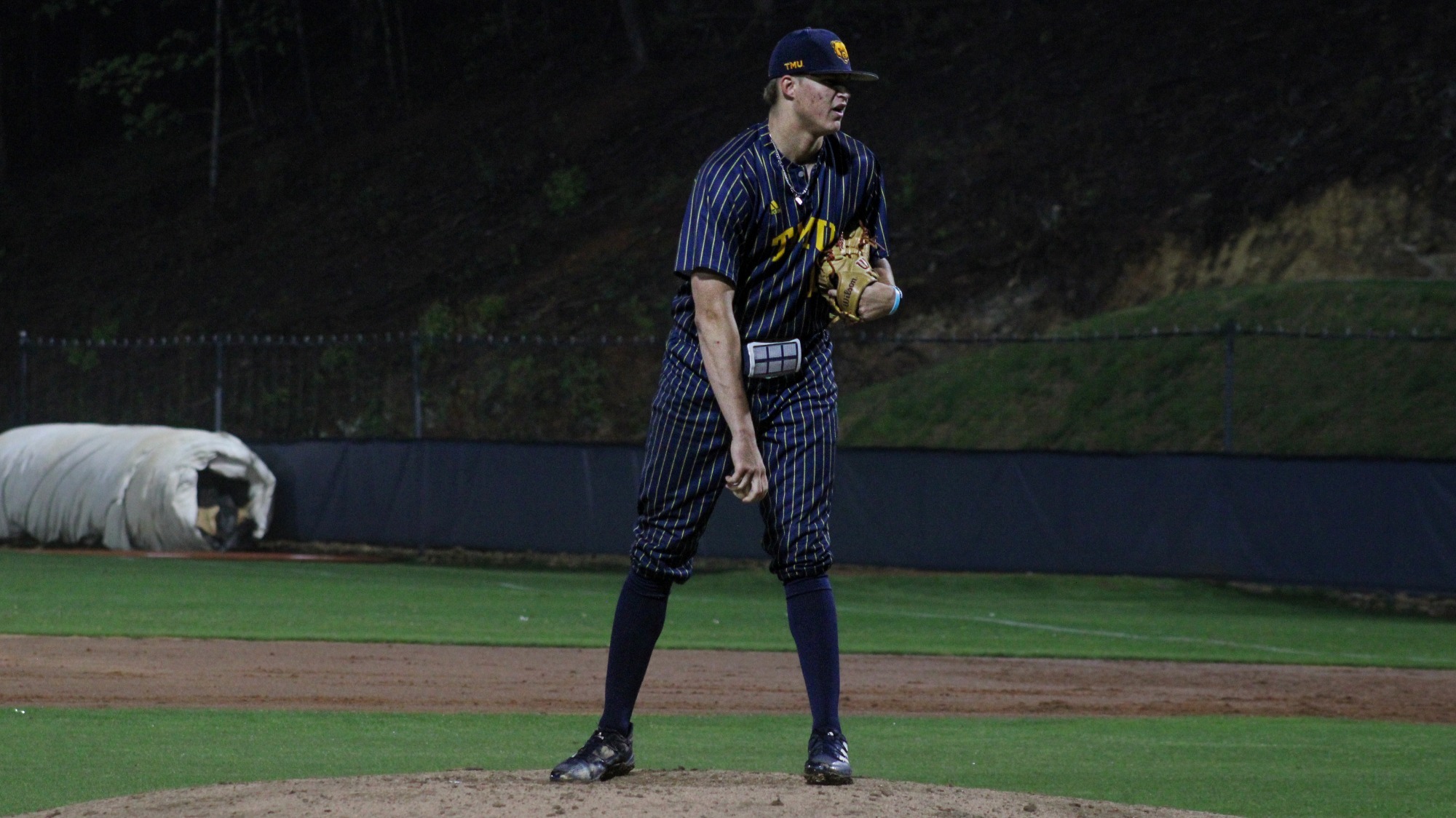 Tyler Gray - Baseball - Truett McConnell University Athletics