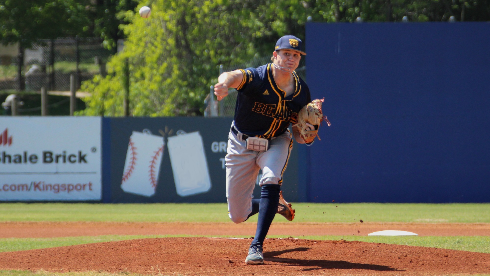 Tyler Gray - Baseball - Truett McConnell University Athletics