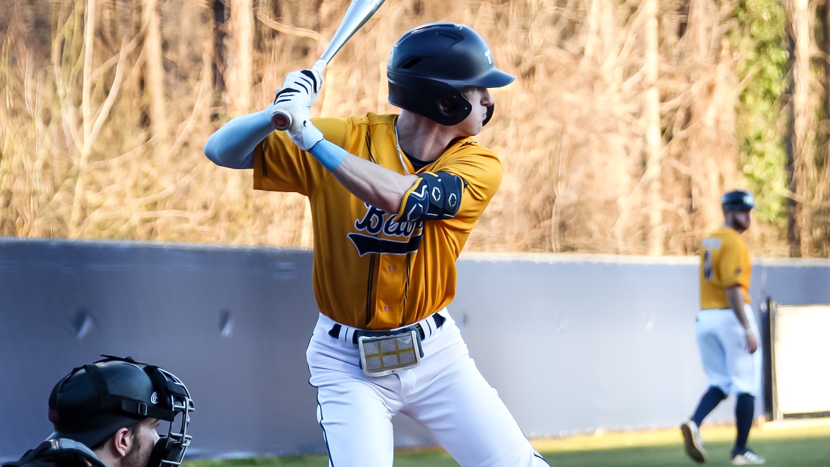 Ethan Roberts - Baseball - Truett McConnell University Athletics
