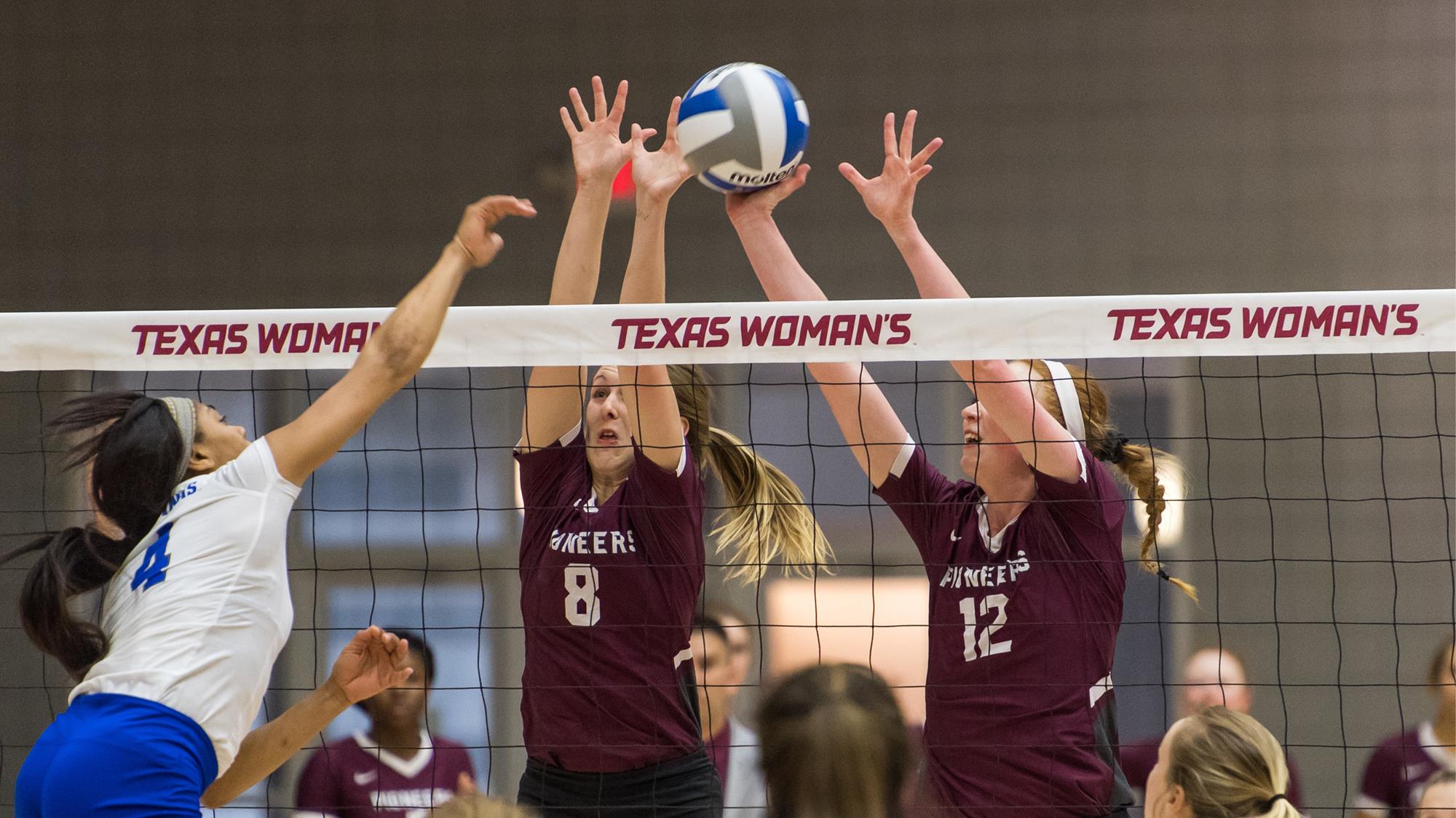 Courtney Noel - Volleyball - Texas Woman's University Athletics