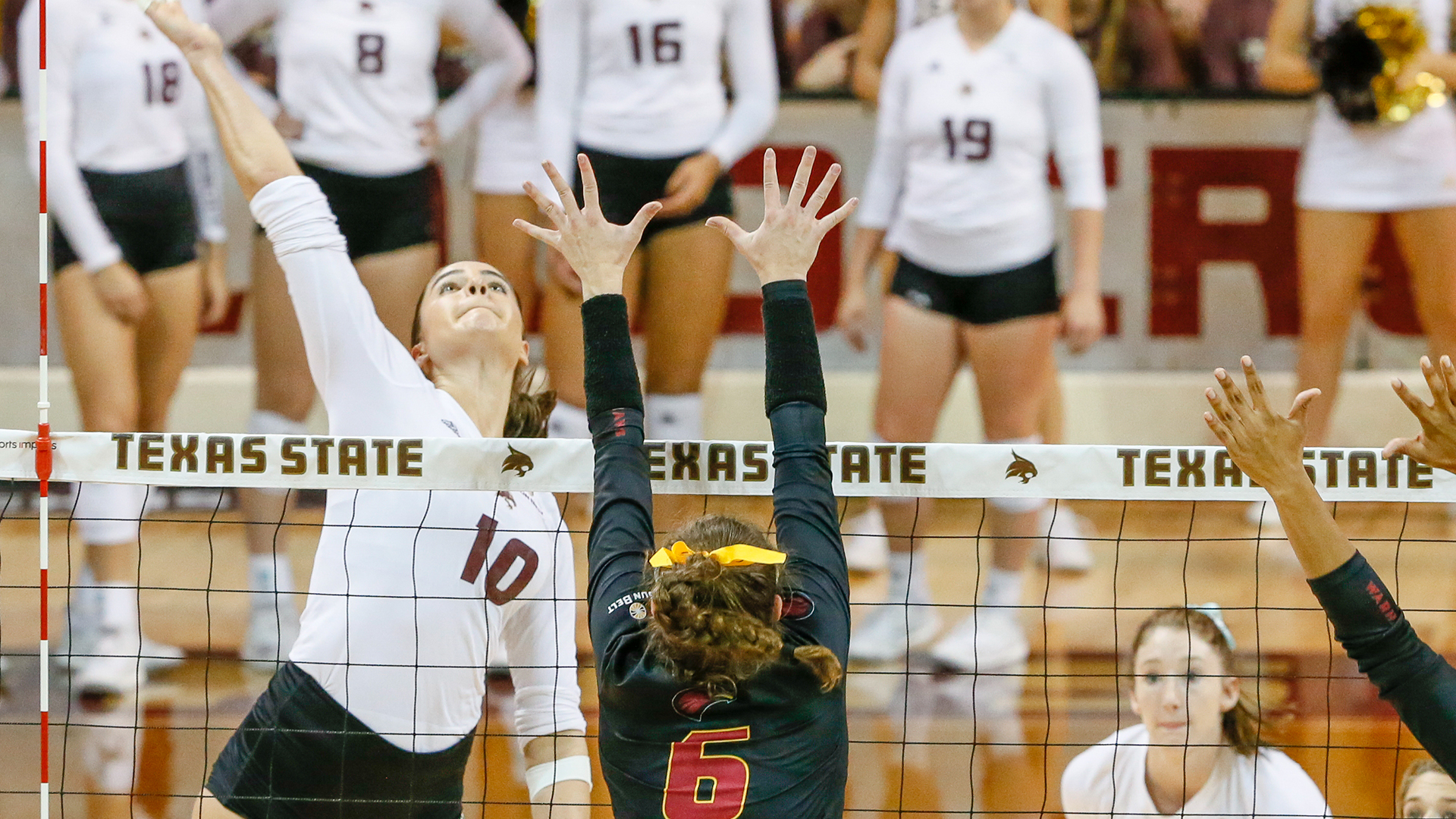 Madison Daigle - Volleyball - Texas State Athletics