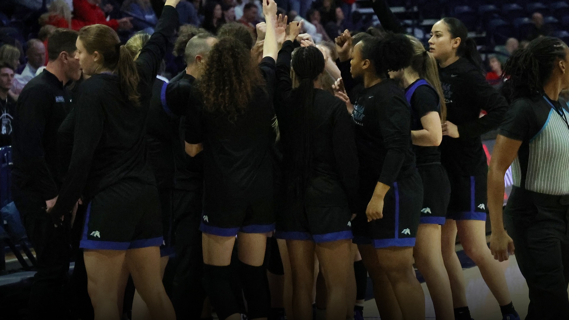 Women's Basketball Ready for NCAA South Region Championships First ...