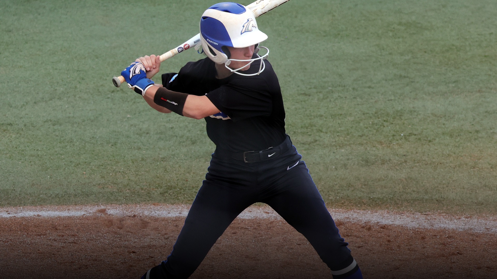 UAH Softball Head Coach Les Stuedeman Announces Retirement after 30 ...