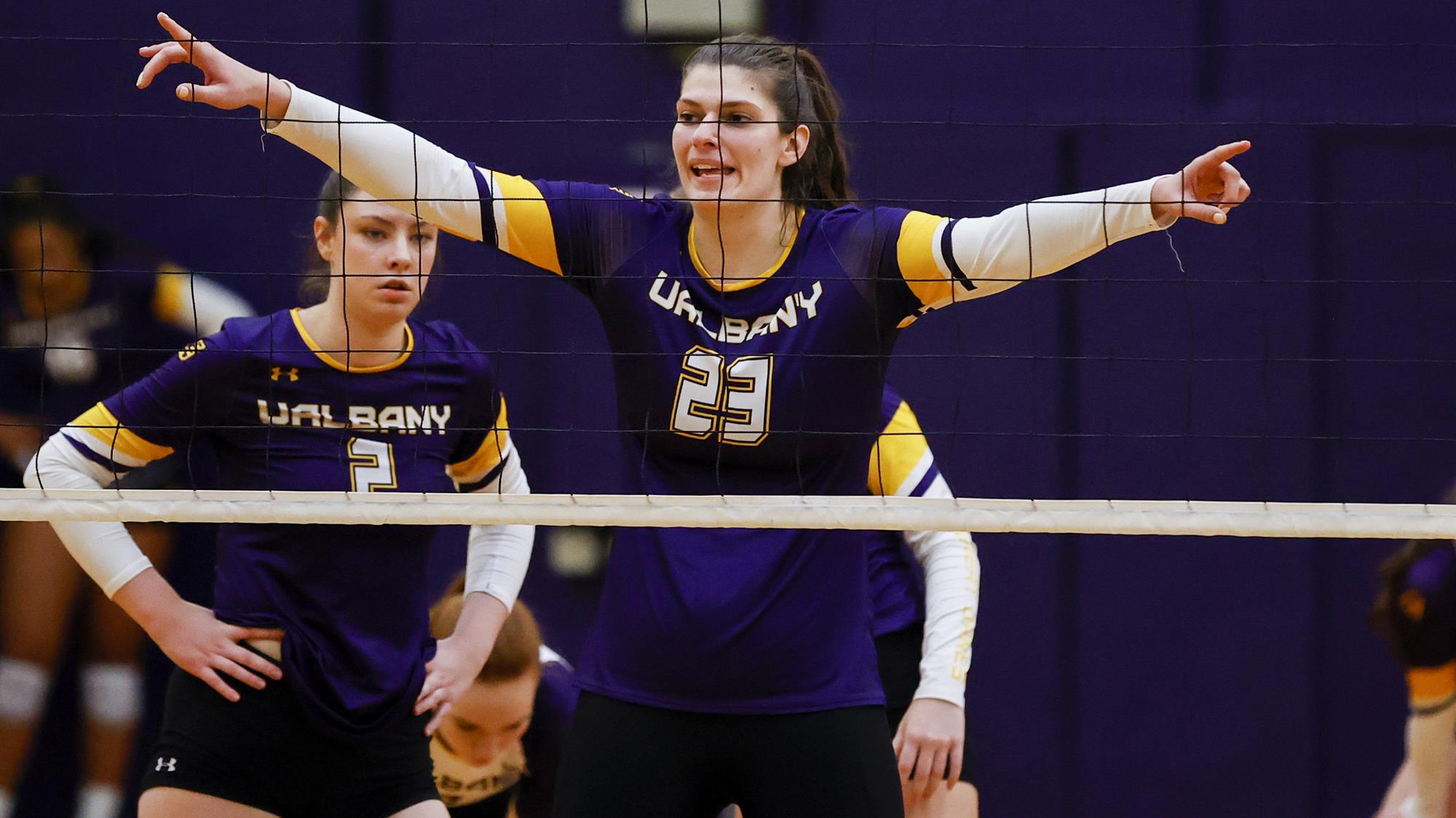 Tedesco Named Honorable Mention All-American - University at Albany Great Danes