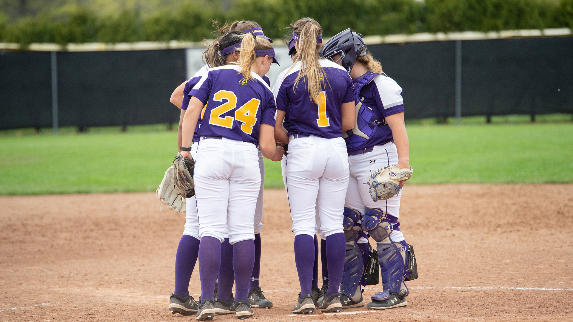 Softball Begins America East Championship Play Against No. 3 Stony ...