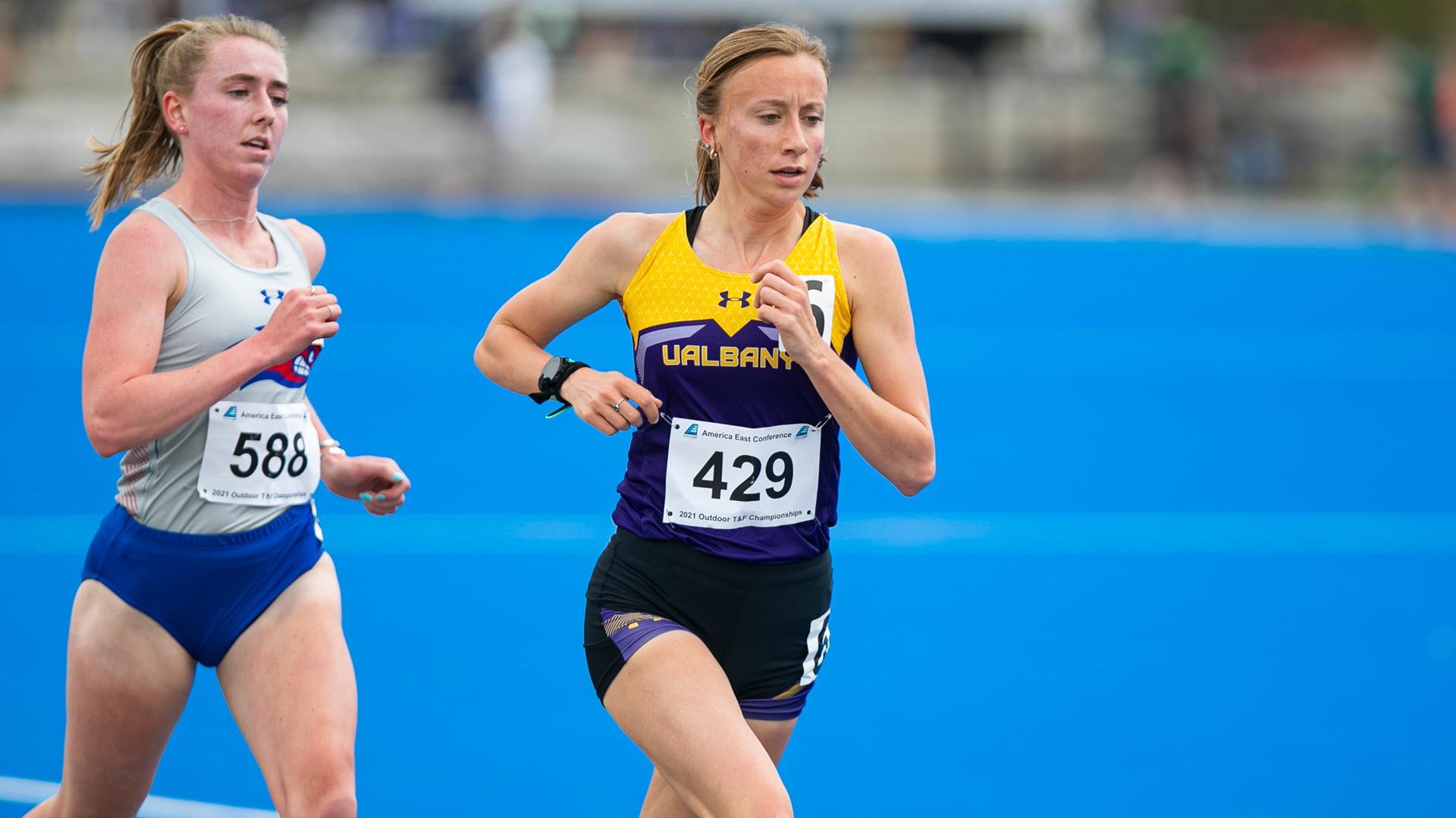 East Prelims: Day Two - University at Albany Great Danes