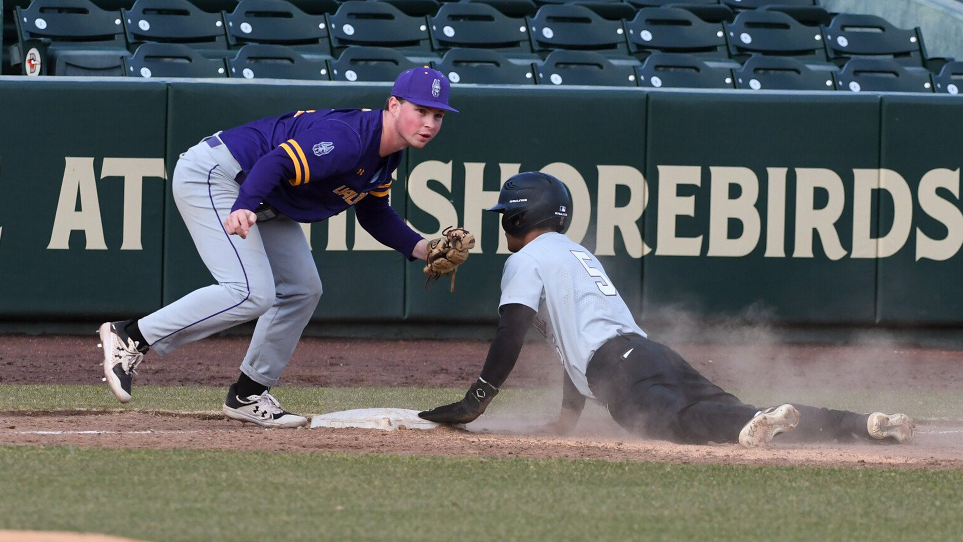 Will Binder - 2024 - Baseball - University at Albany Great Danes
