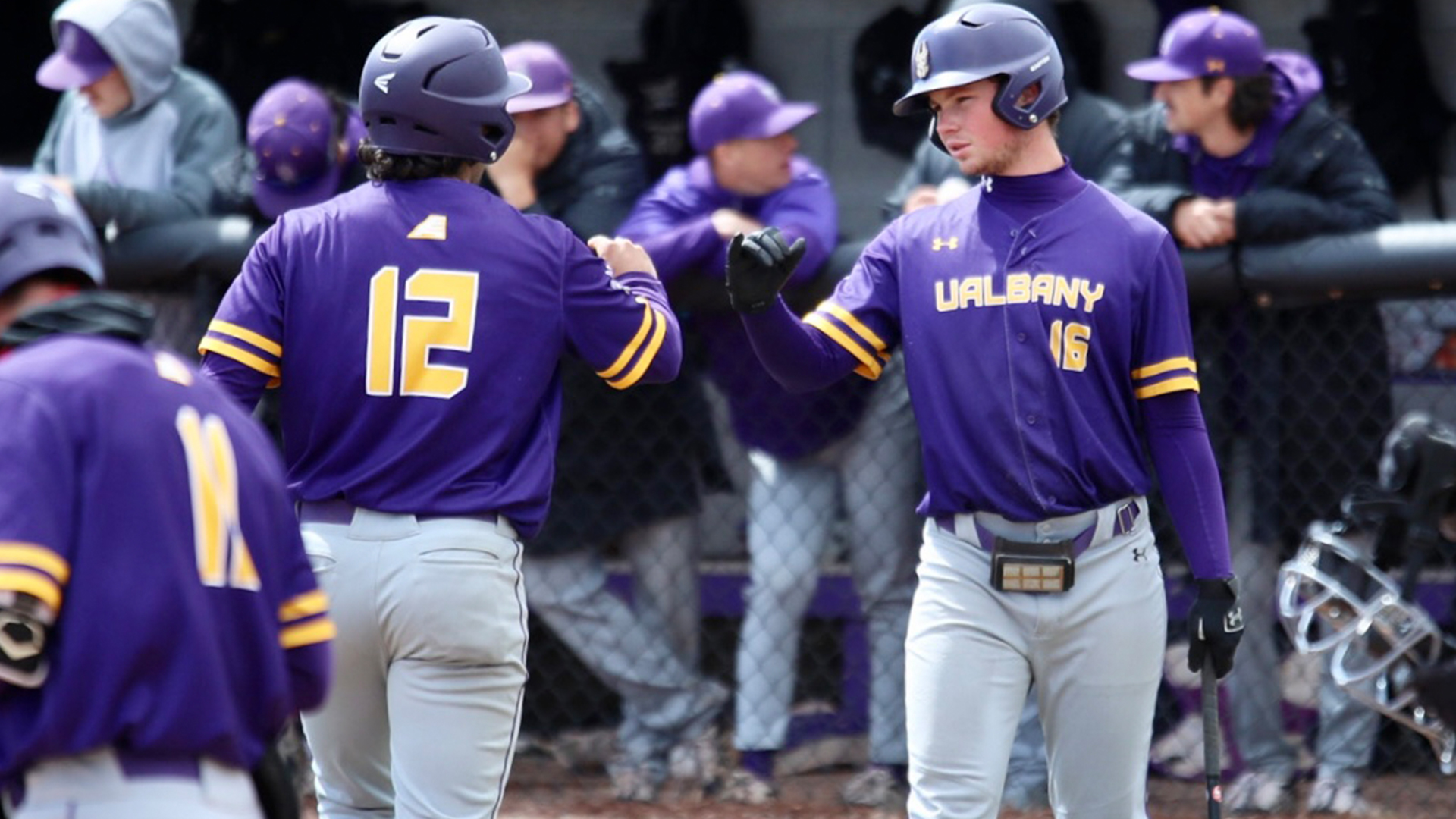 Will Binder - 2024 - Baseball - University at Albany Great Danes