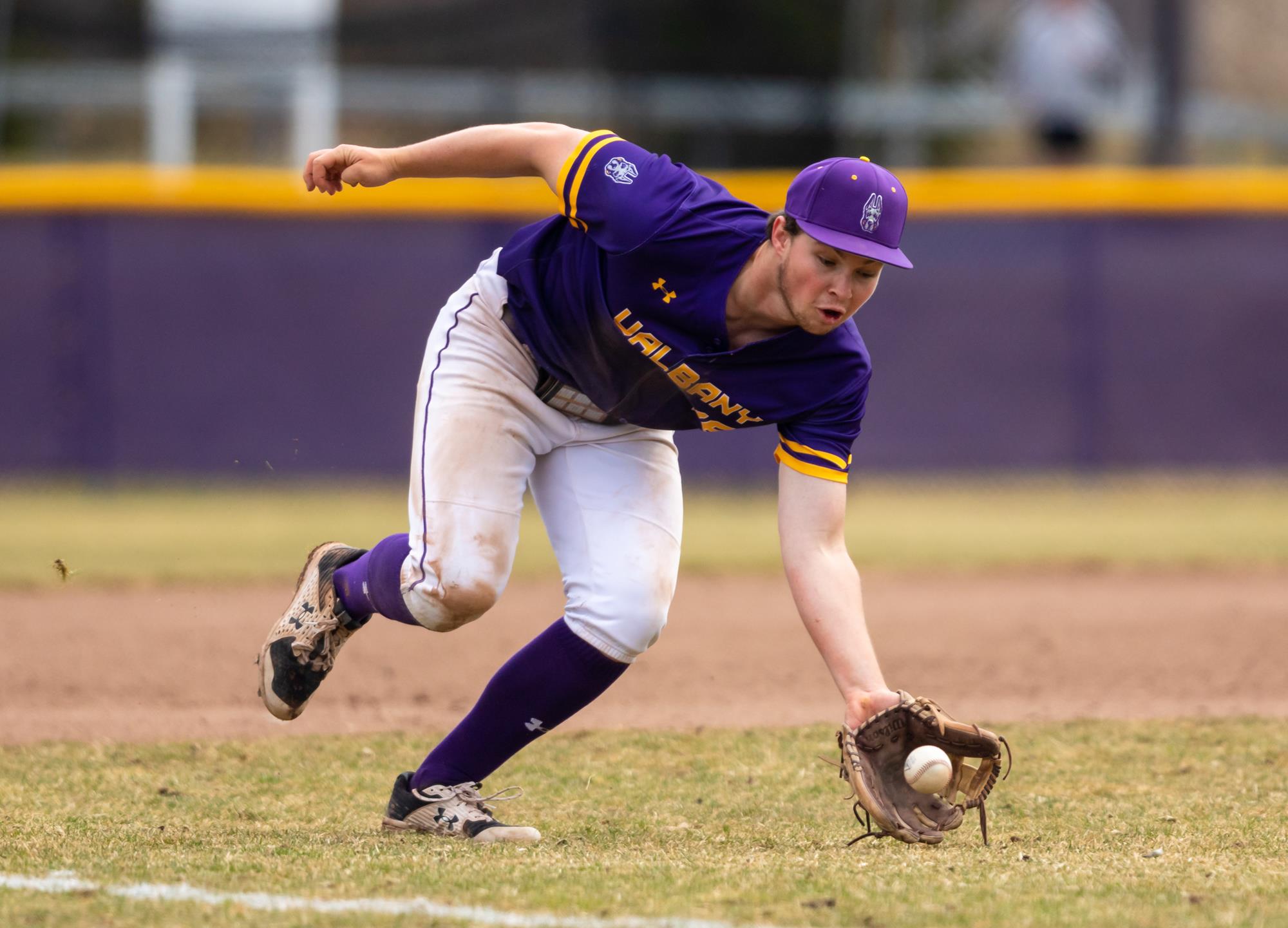 Will Binder - 2024 - Baseball - University at Albany Great Danes
