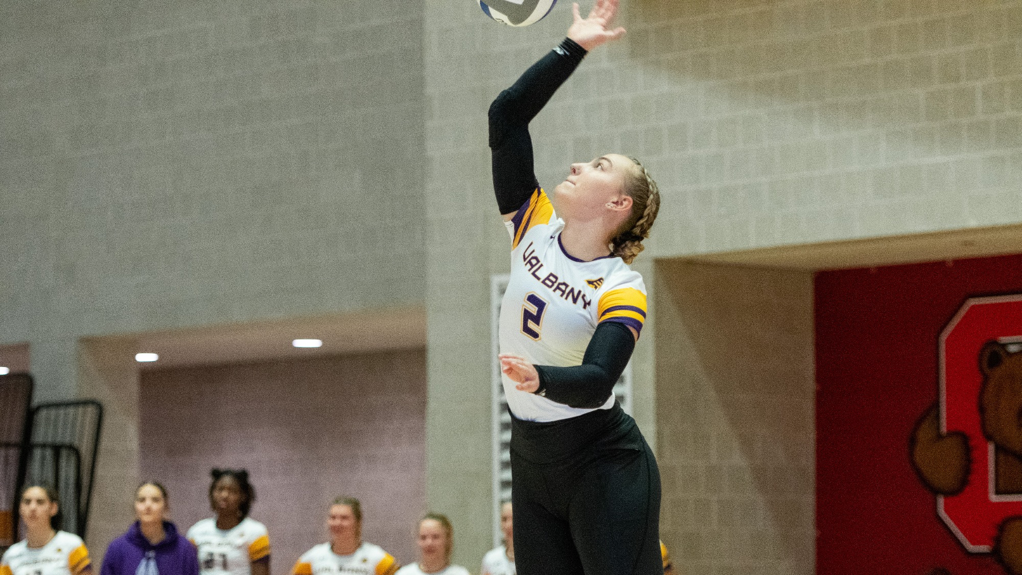 Kaleigh Fitzgerald - 2022 - Women's Volleyball - University at Albany ...